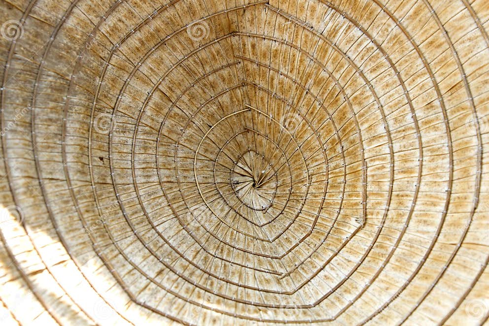 The inside Straw Hat. stock photo. Image of beach, summer - 143560380