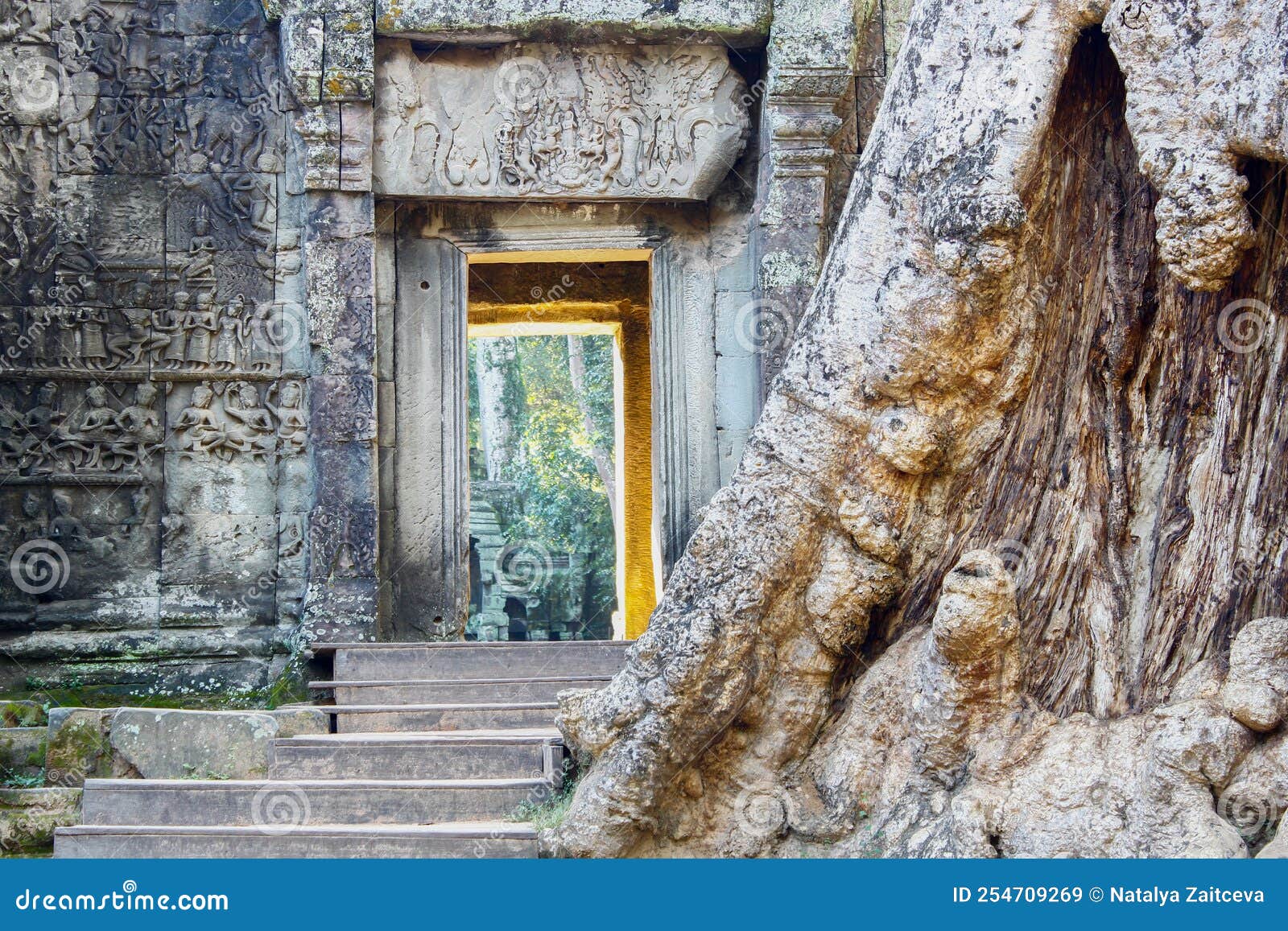 Inside Ta Prohm Temple. Siem Reap, Cambodia Stock Image - Image of wall ...