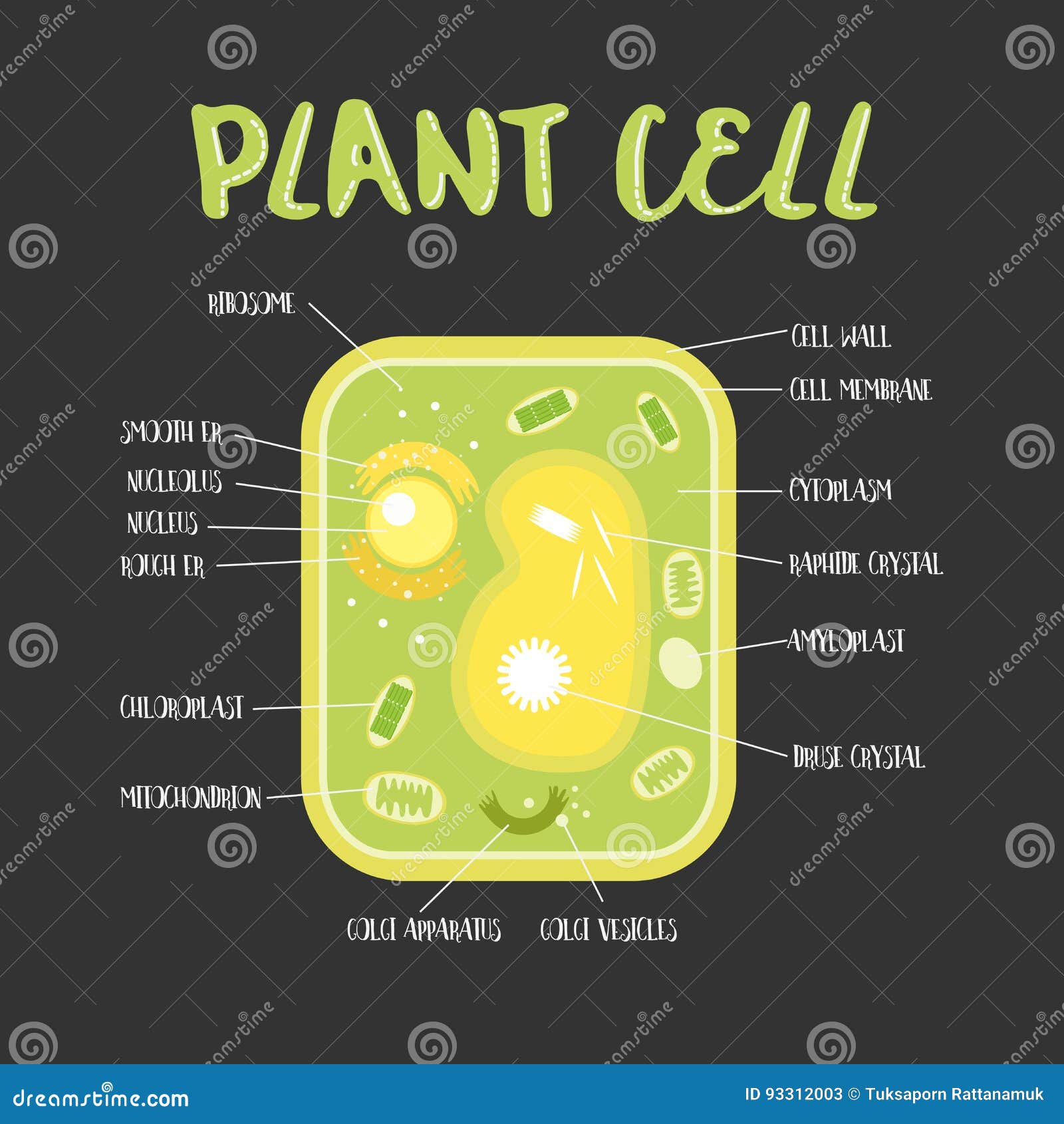 Inside The Endoplasmic Reticulum: A Vivid 4K View Of A Highly Detailed ...