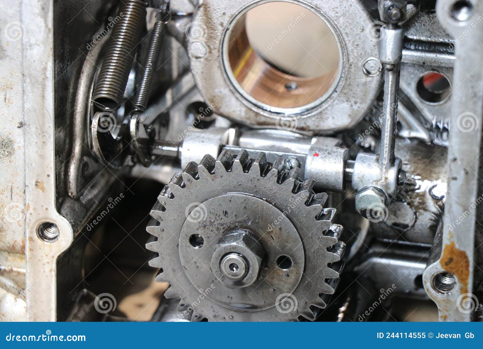 Inside View of a Heavy-duty Single-cylinder Diesel Engine with a Focus ...