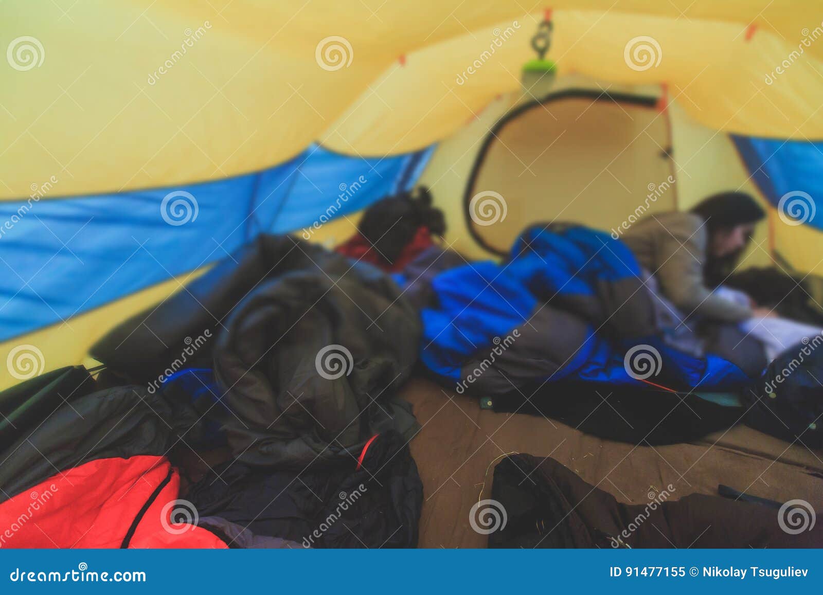 An Inside View of Tent, Process of Camping in Fall or Spring Forest ...