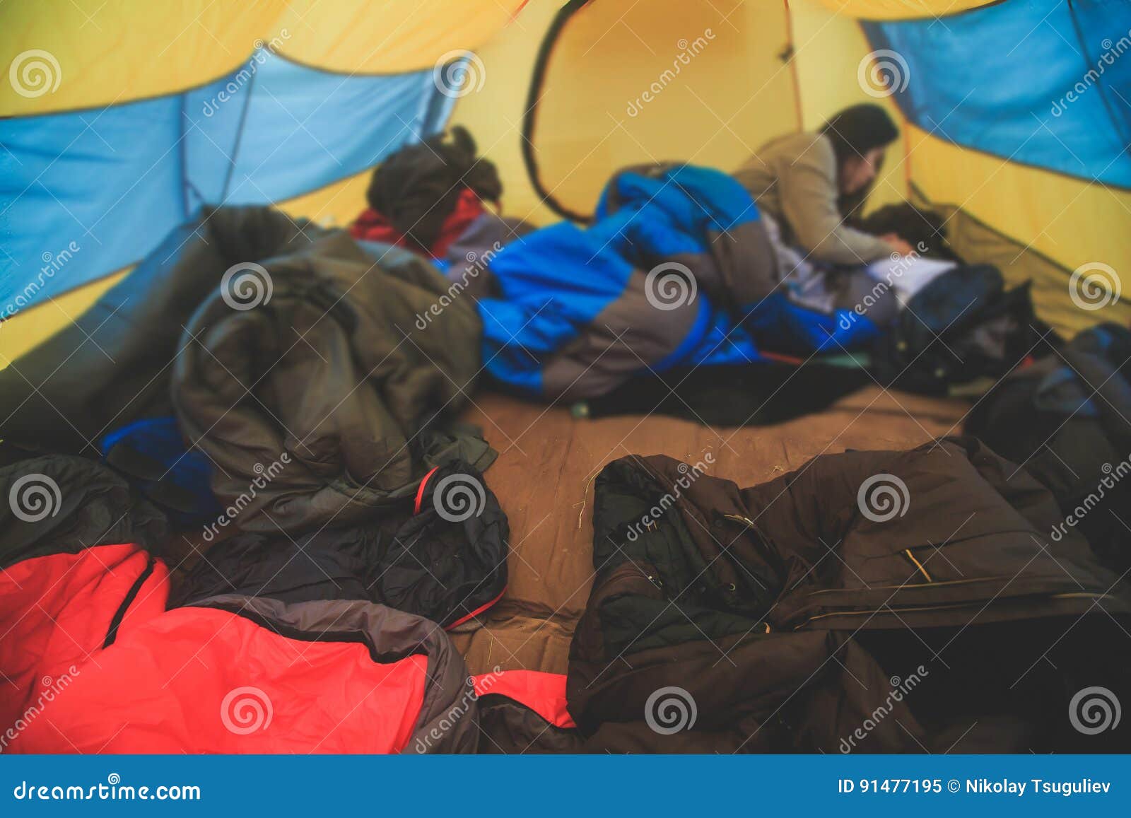 An Inside View of Tent, Process of Camping in Fall or Spring Forest ...
