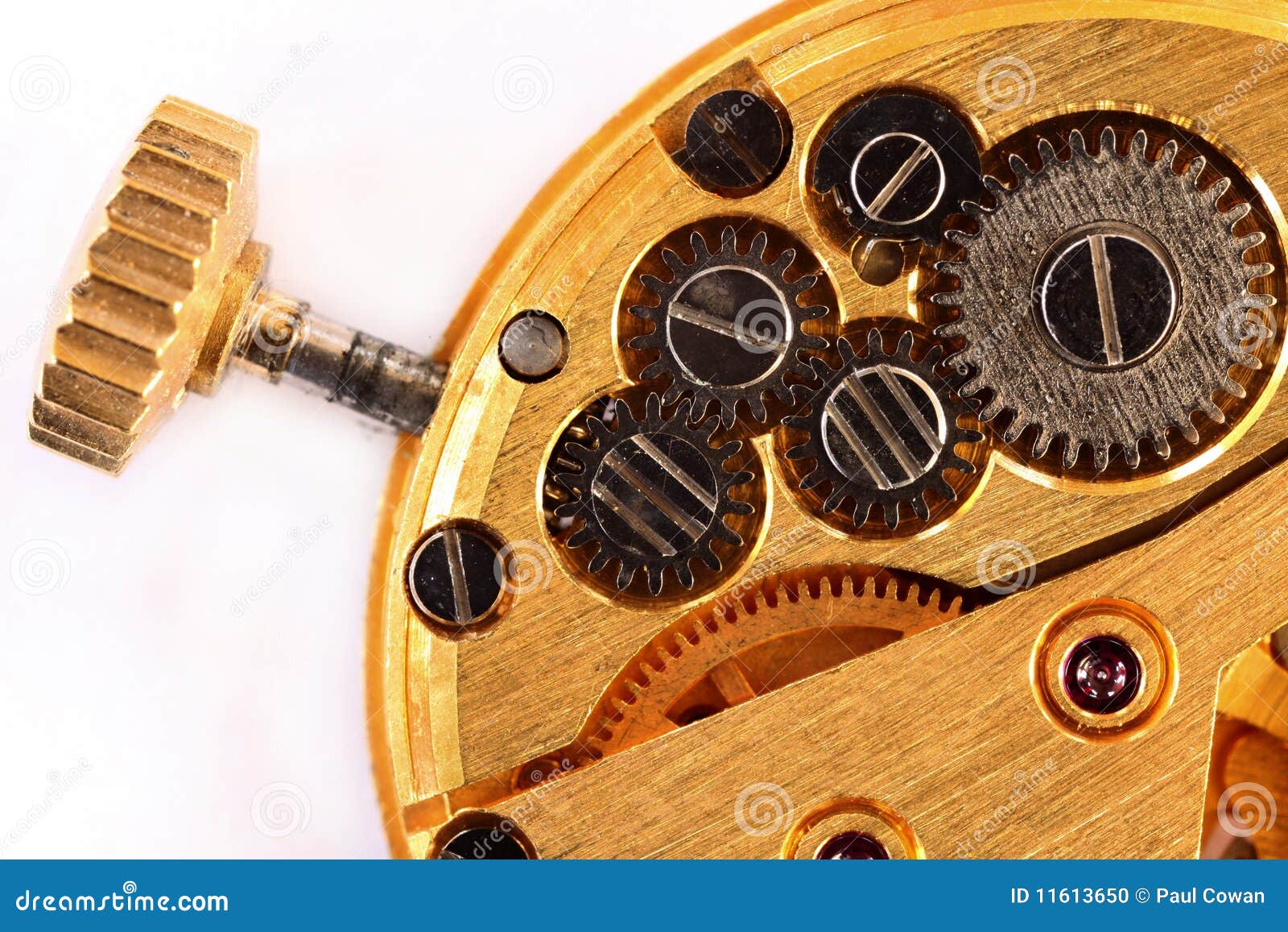 Inside a watch stock photo. Image of cogwheel, time, watch - 11613650