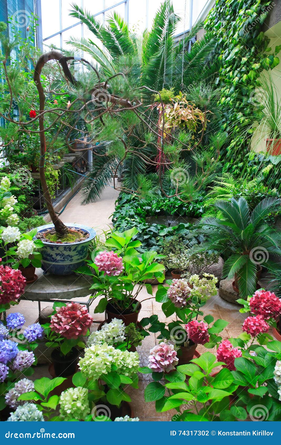 Inside Winter Garden stock photo. Image of flora, diversity - 74317302