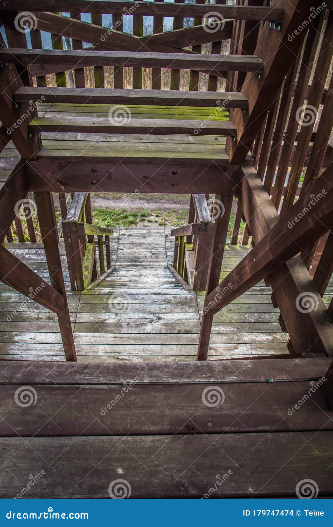 Inside of a Wooden View Tower Stock Photo - Image of botanical, flora ...