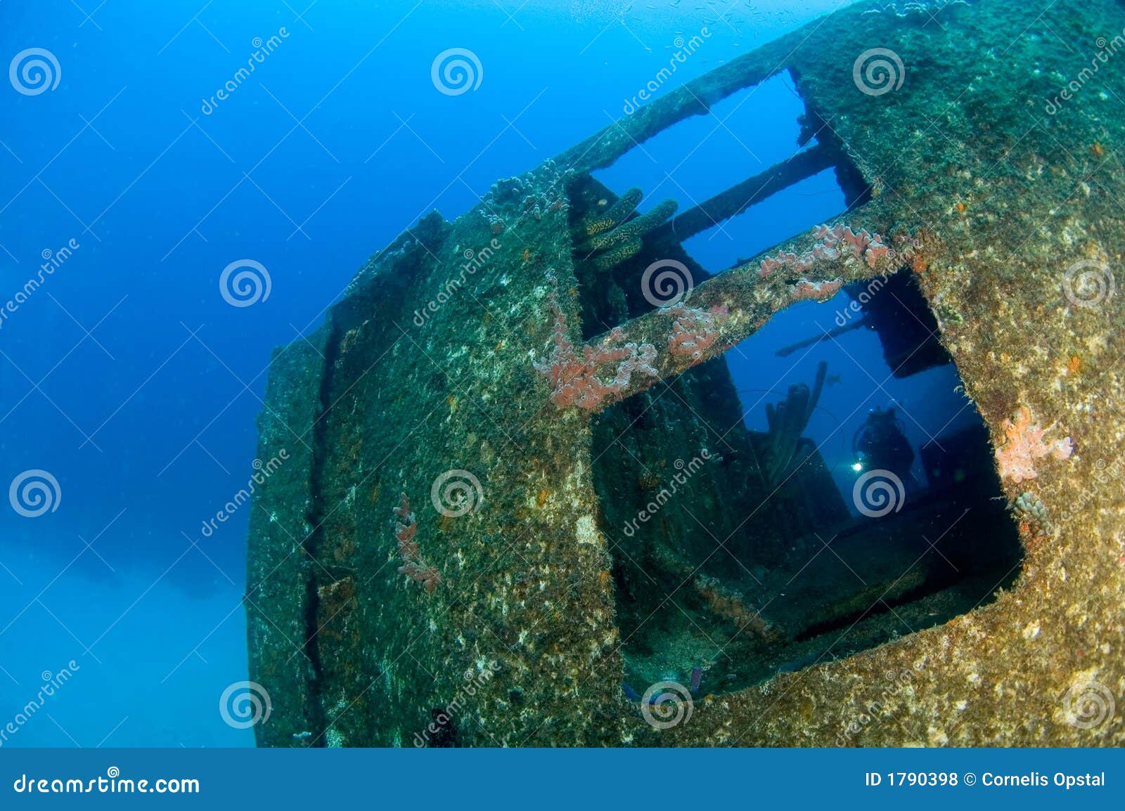 Inside Wreck Hilma Bonaire Stock Photo | CartoonDealer.com #1790598