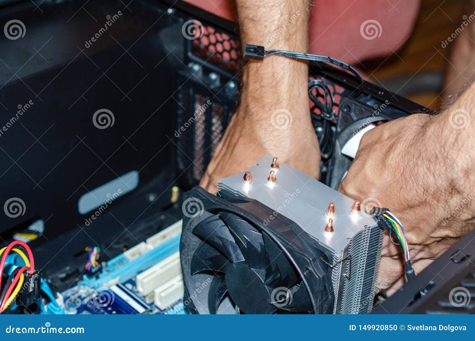 CPU In Hands Of A Technician. The Processor Is Being Examined For ...