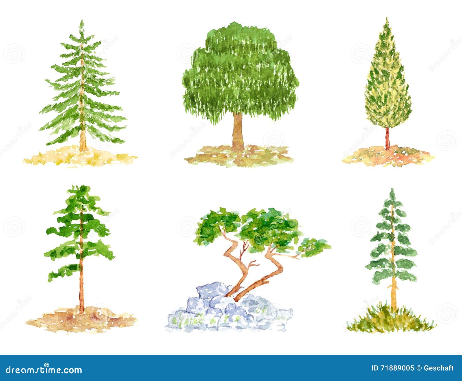 Insieme Degli Alberi, Acquerello Disegnato a Mano E Dipinto ...
