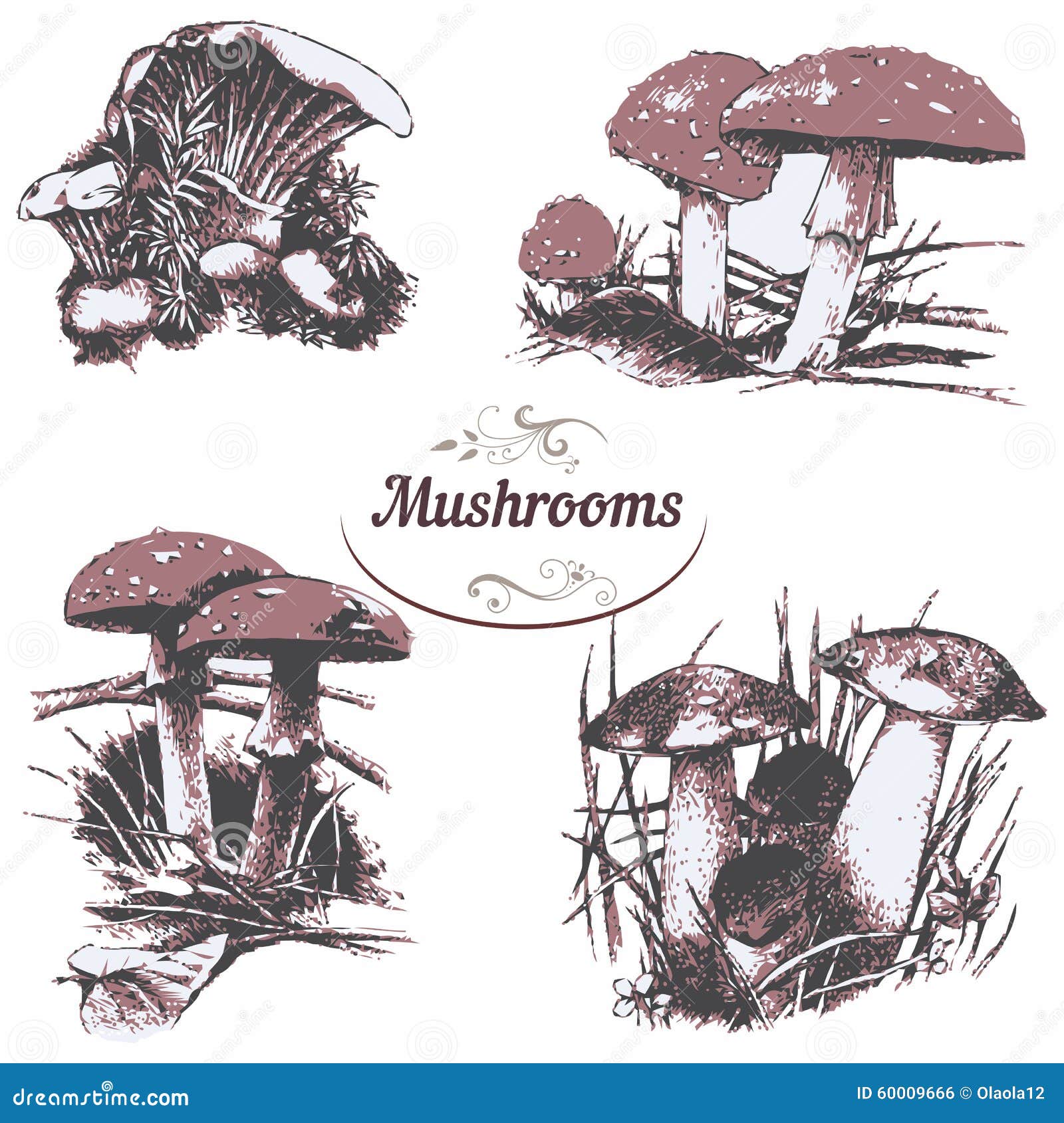 Insieme Dei Funghi Dei Disegni Illustrazione Vettoriale - Illustrazione ...