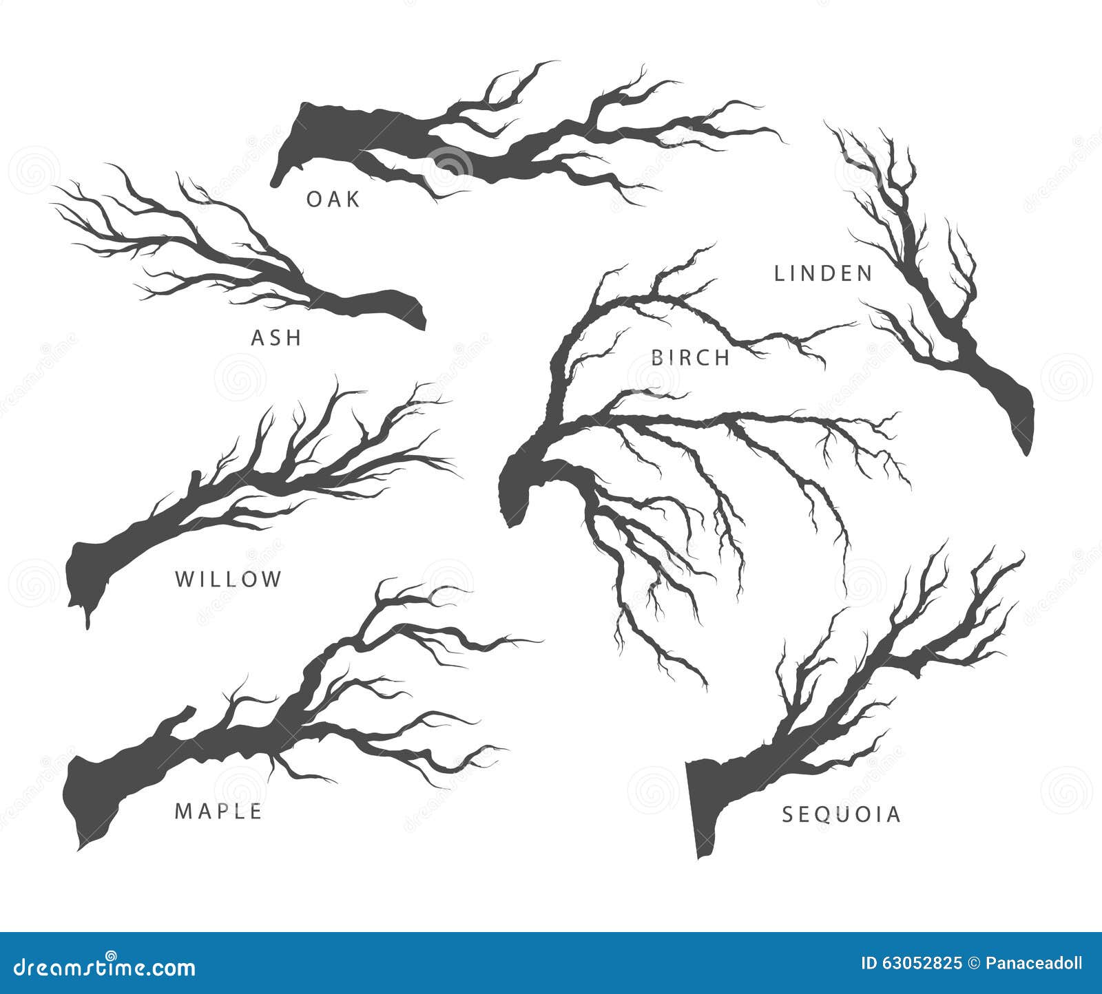 Insieme Dei Rami Secchi Degli Alberi Illustrazione Vettoriale ...