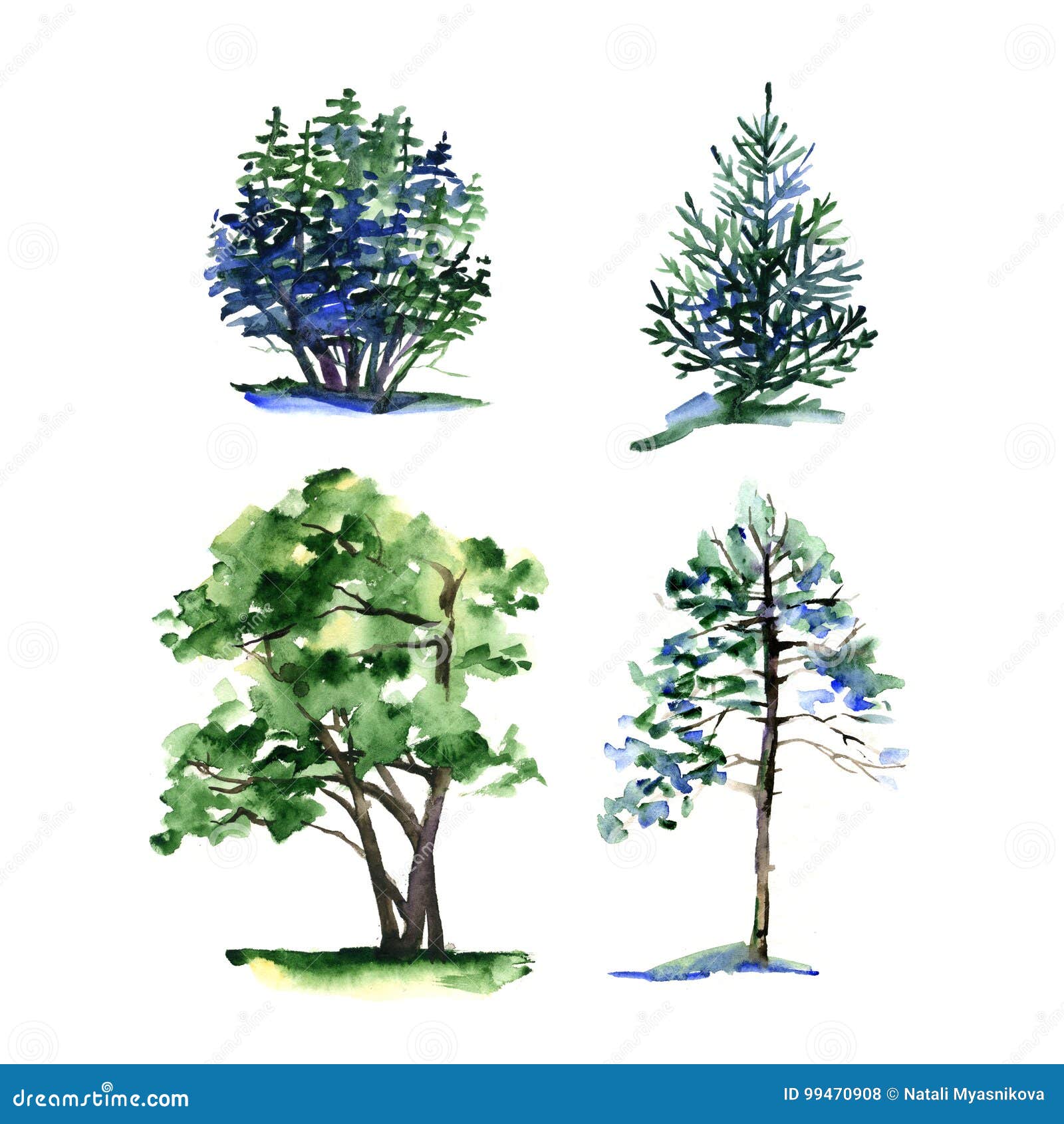 Insieme Dei Tipi Differenti Alberi Dell'acquerello Illustrazione di ...