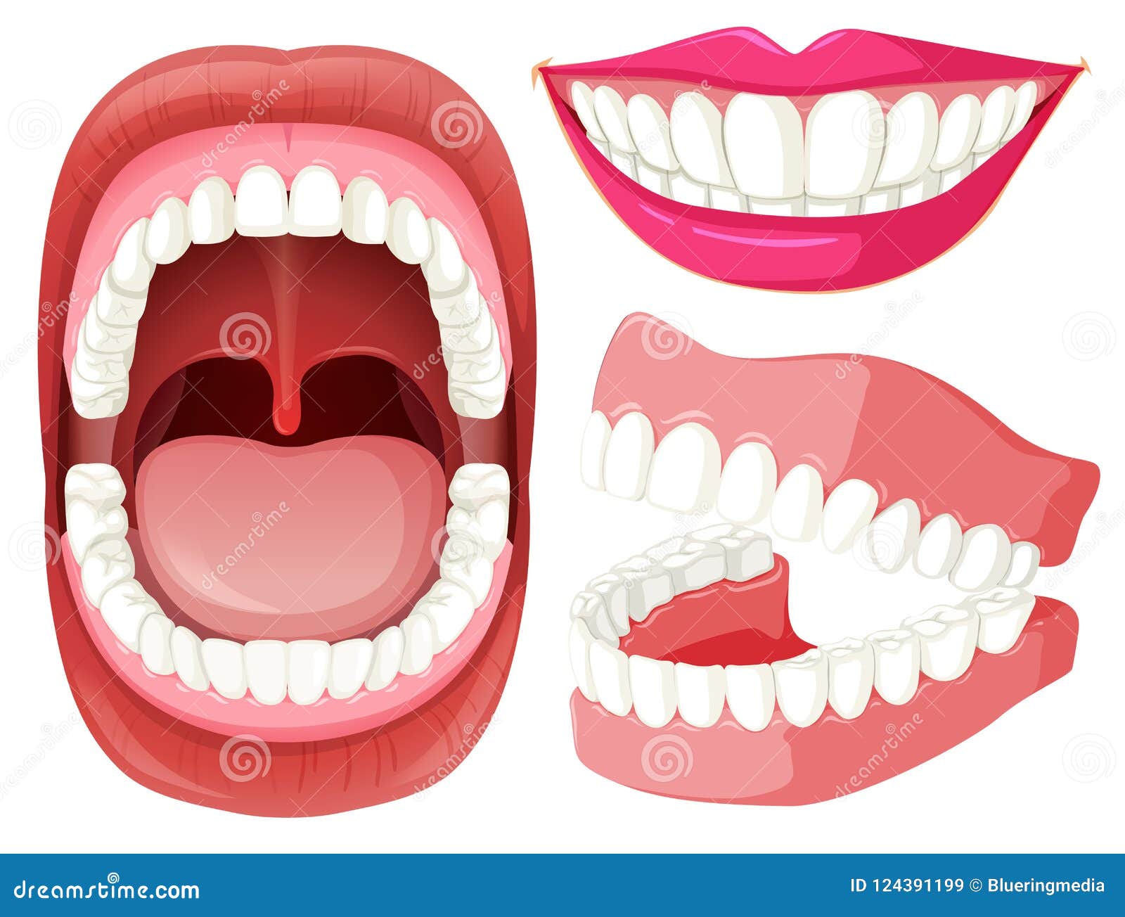 Insieme Della Bocca E Dei Denti Illustrazione Vettoriale ...