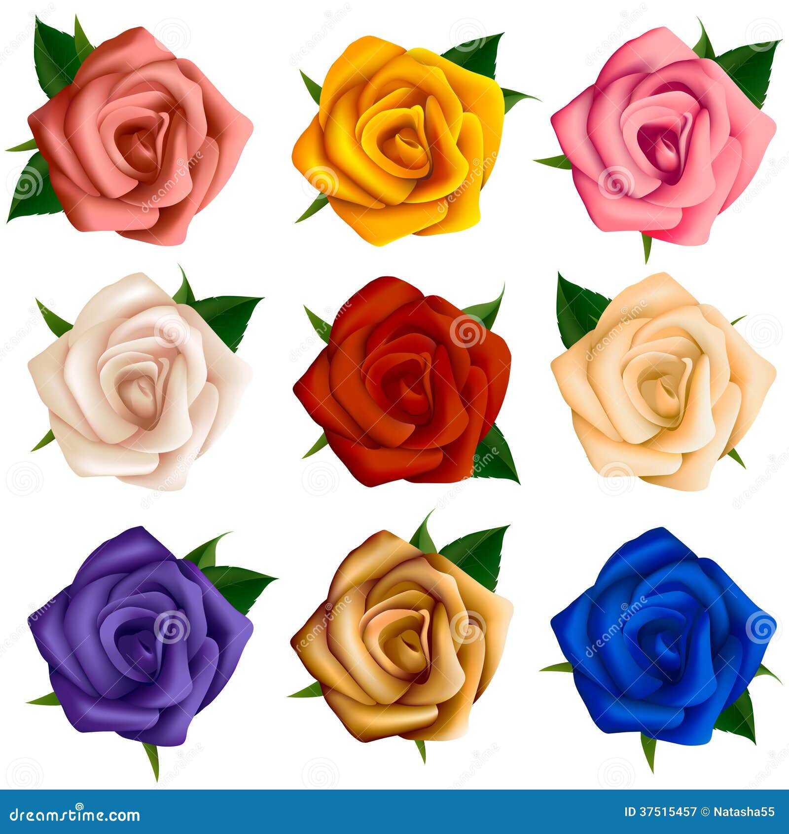 Insieme Delle Rose Di Vari Colori Illustrazione Vettoriale ...