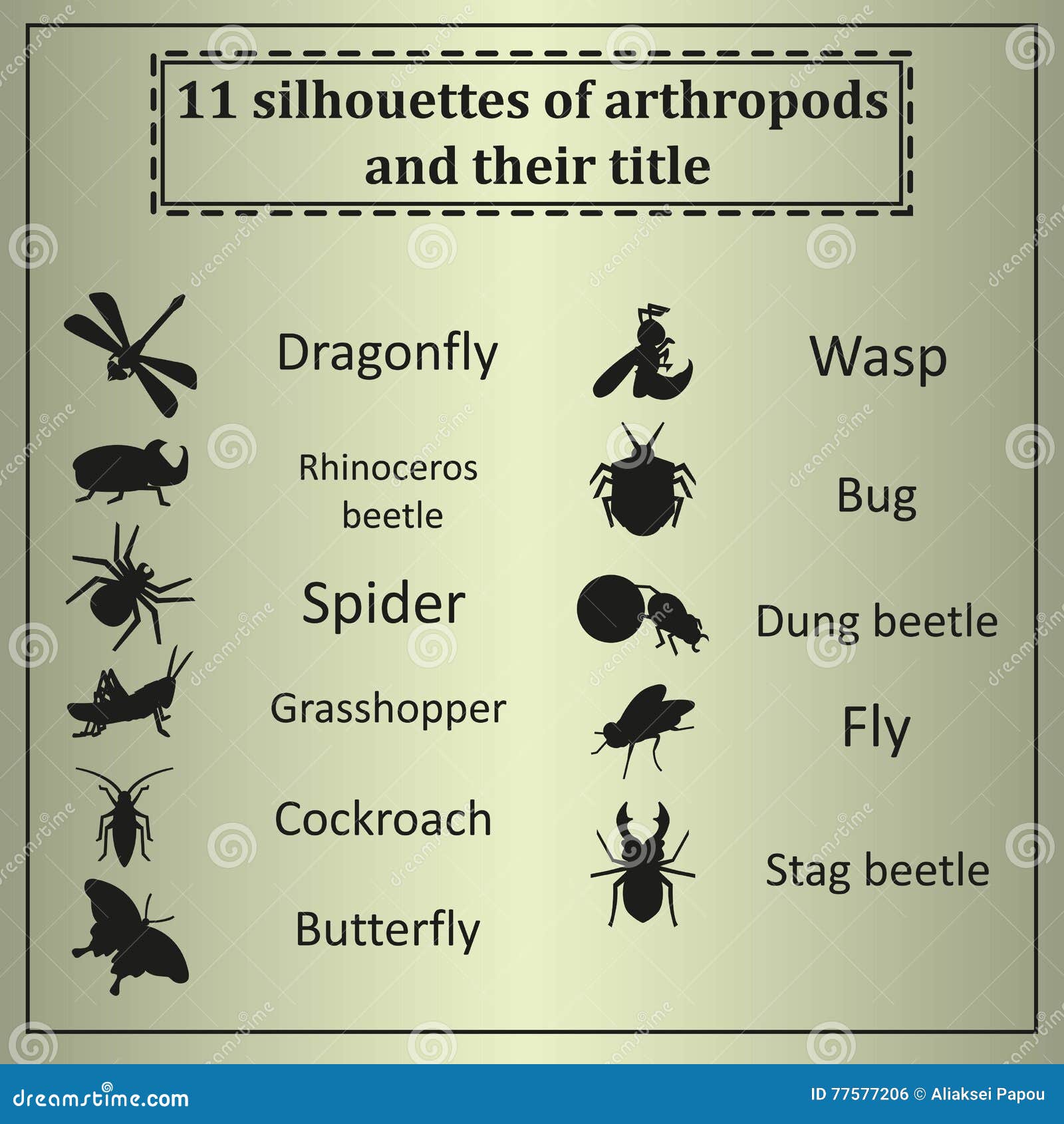 Insieme di vari insetti illustrazione vettoriale. Illustrazione di ...
