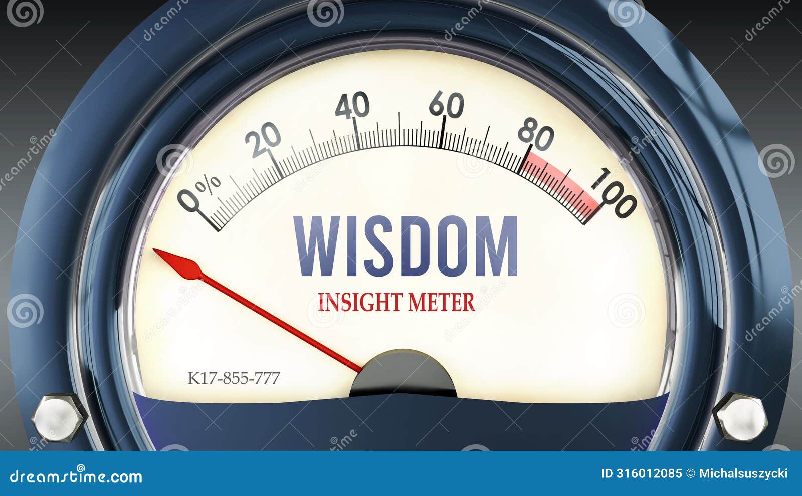 Wisdom and Insight Meter that Hits less Than Zero, Very Low Level of ...
