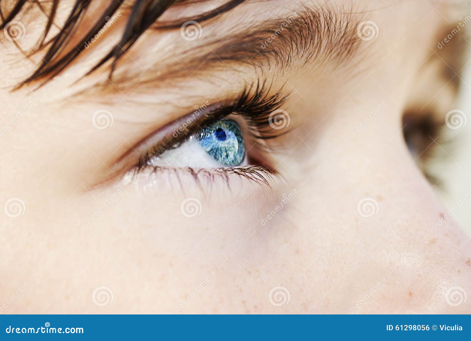 Insightful Look Blue Eyes Boy Stock Photo - Image of color, blue: 61298056