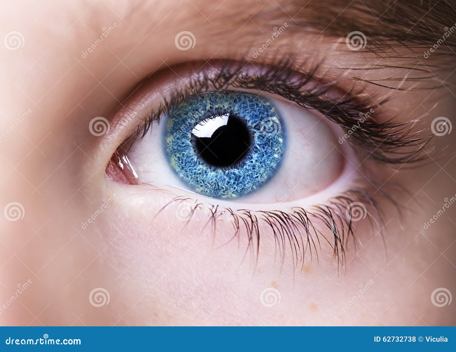 Insightful Look Eyes Stock Photo | CartoonDealer.com #65322168