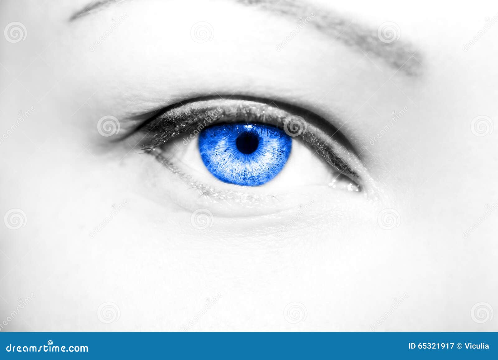 Insightful Look Eyes Stock Photo | CartoonDealer.com #65322168