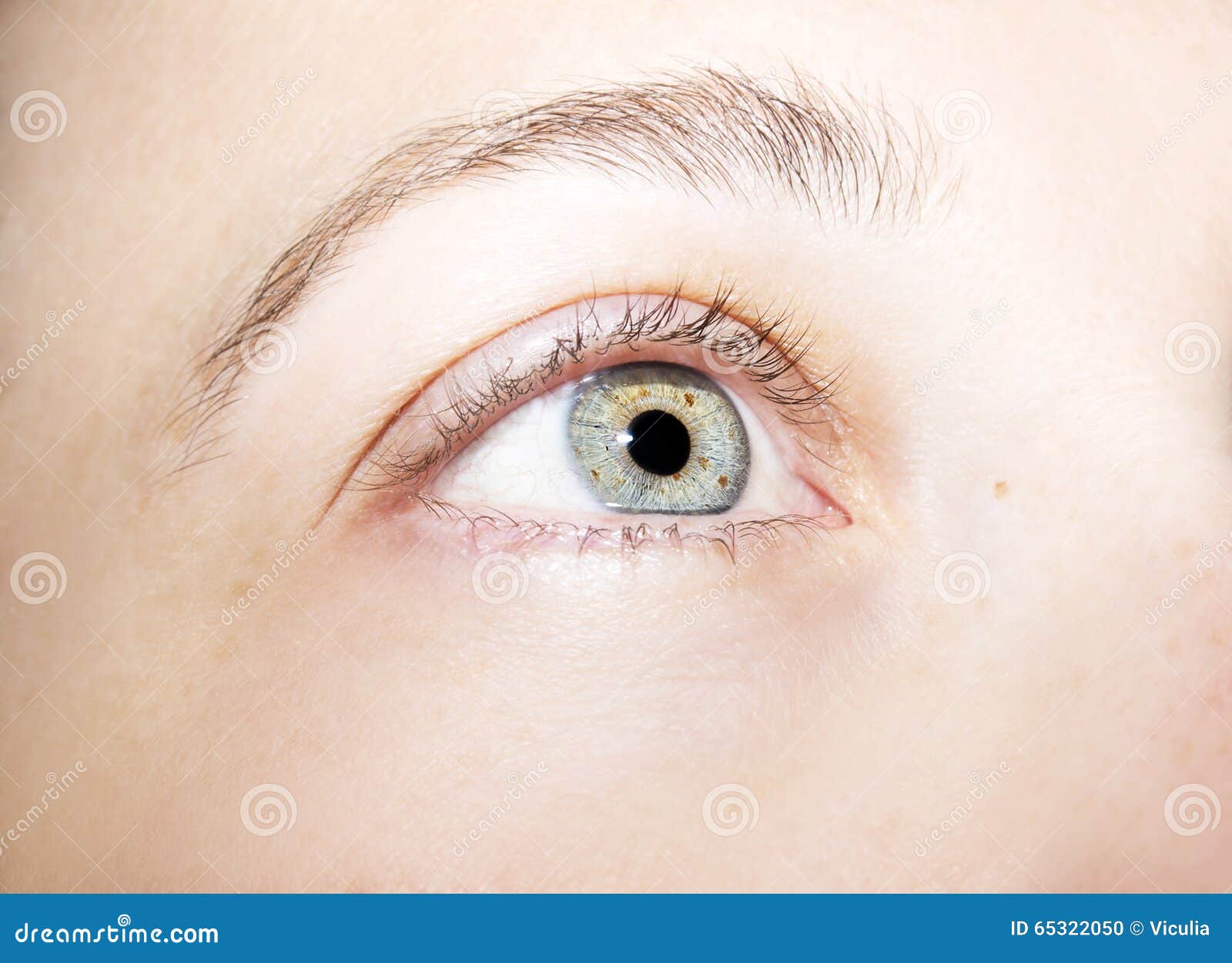 Insightful look eyes stock photo. Image of focus, concept - 65322050