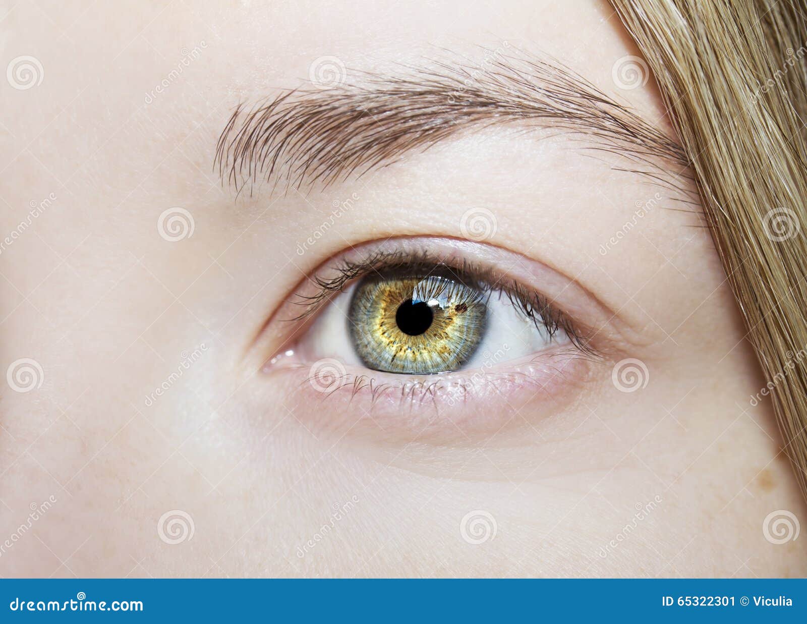 Insightful look eyes stock image. Image of concept, insightful - 65322301