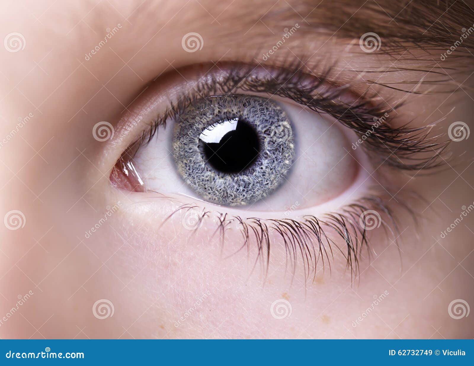 Insightful look eyes boy stock image. Image of color - 62732749