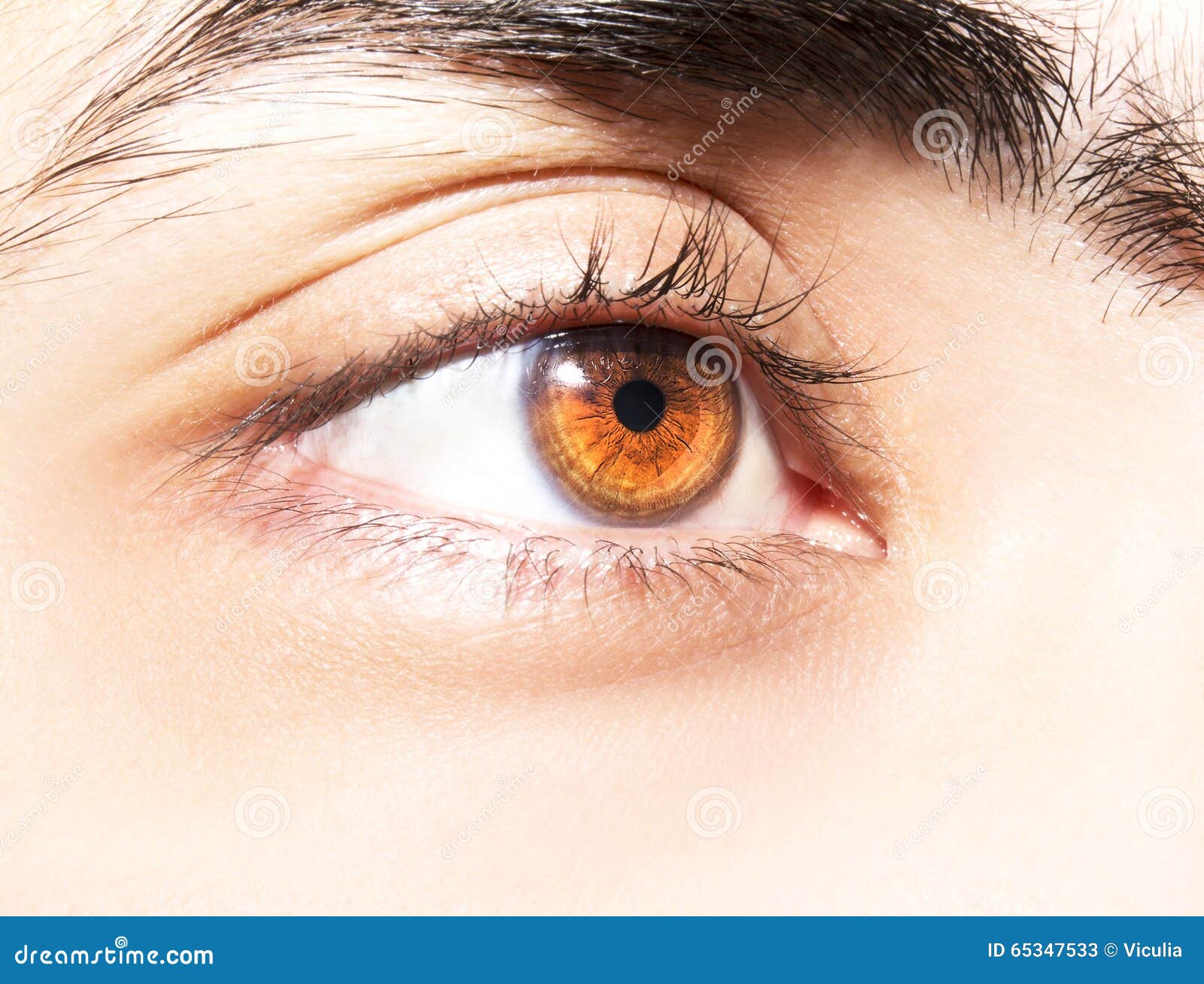 Insightful look eyes stock image. Image of haired, exciting - 65347533