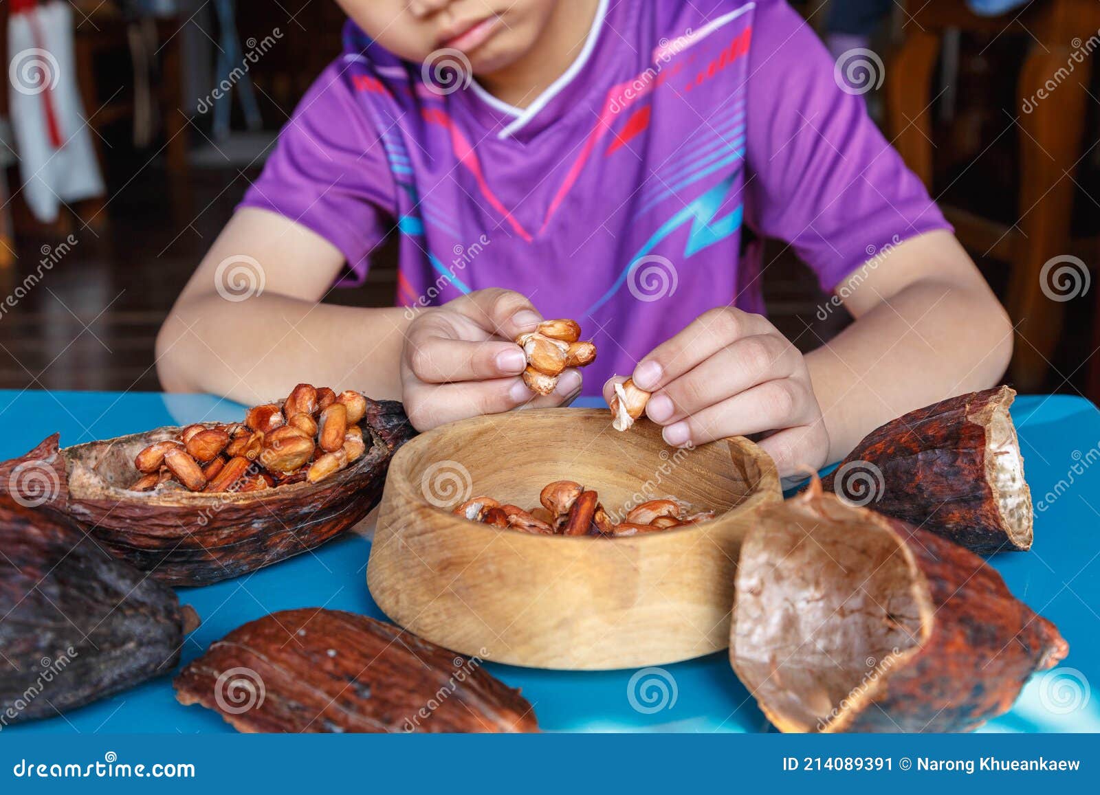 Inspect Cocoa Beans for Sorting Stock Image - Image of manufacturing ...