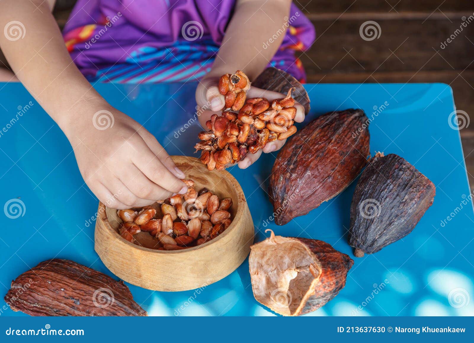 Inspect Cocoa Beans for Sorting Stock Photo - Image of delicious ...