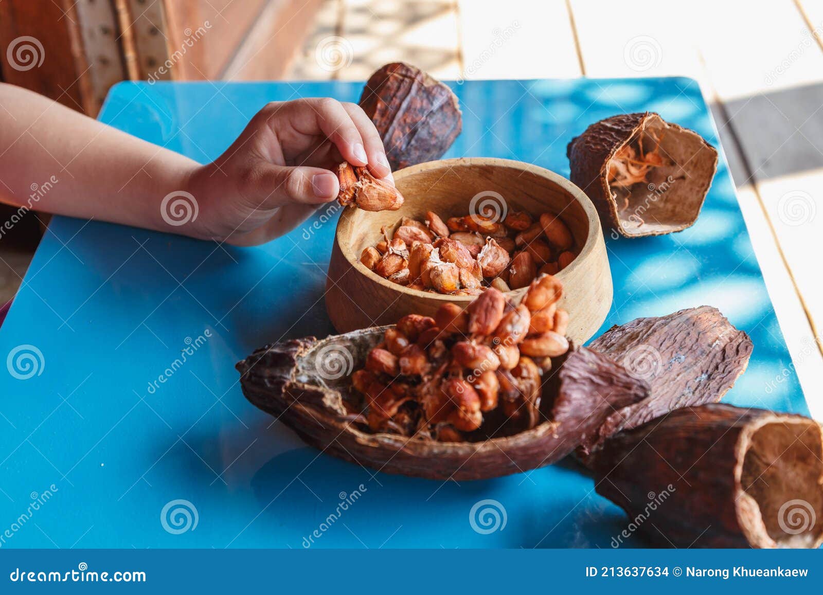 Inspect Cocoa Beans for Sorting Stock Photo - Image of control, closeup ...