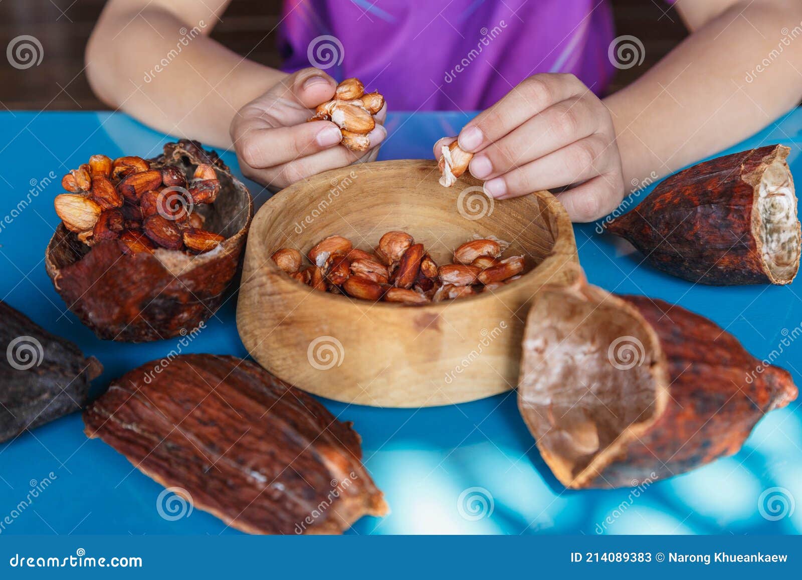 Inspect Cocoa Beans for Sorting Stock Image - Image of delicious ...