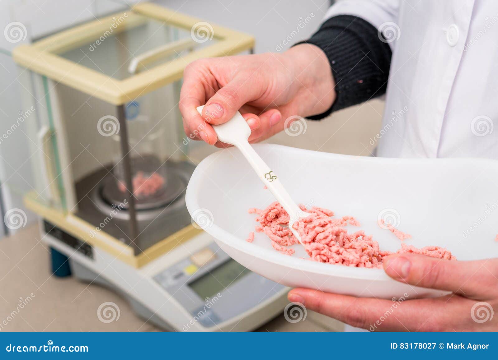 Inspecting raw meat stock image. Image of inspection - 83178027
