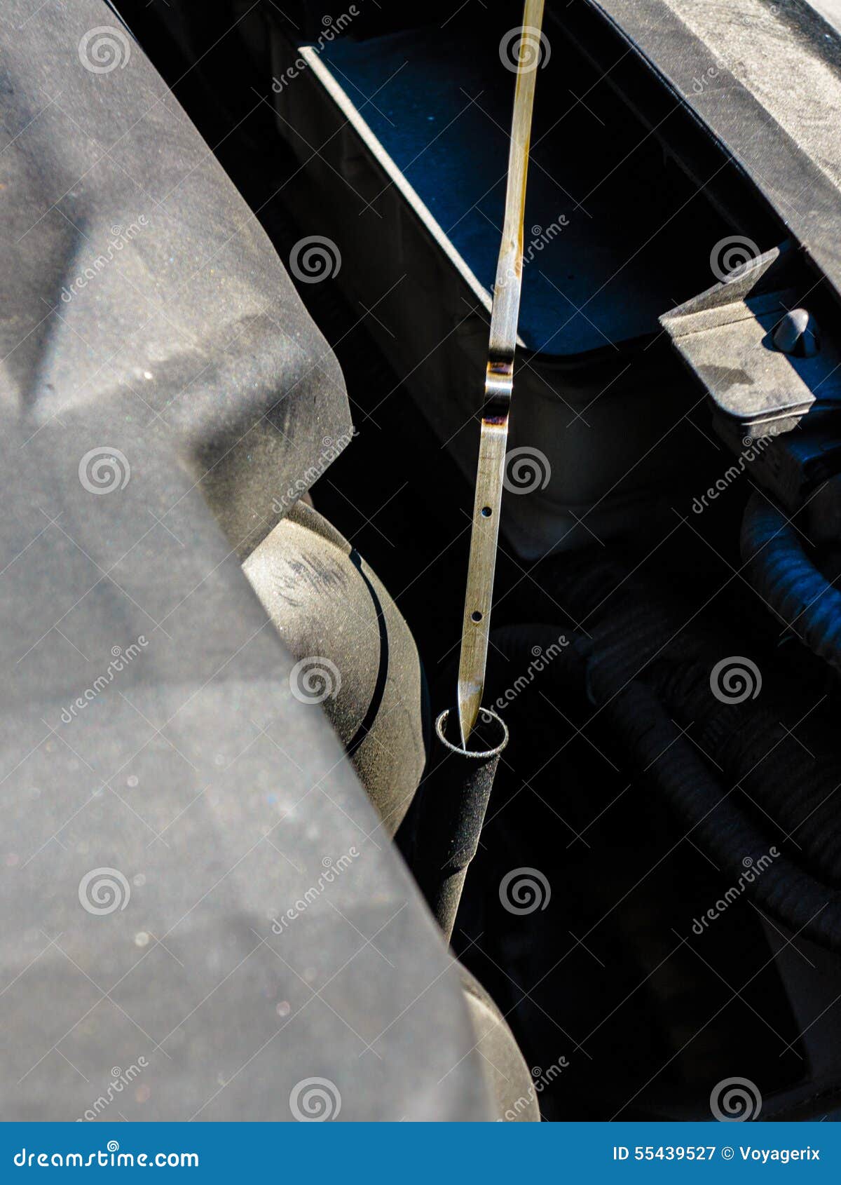 Inspection The Level Of Oil On Car Engine Dipstick Stock Image ...