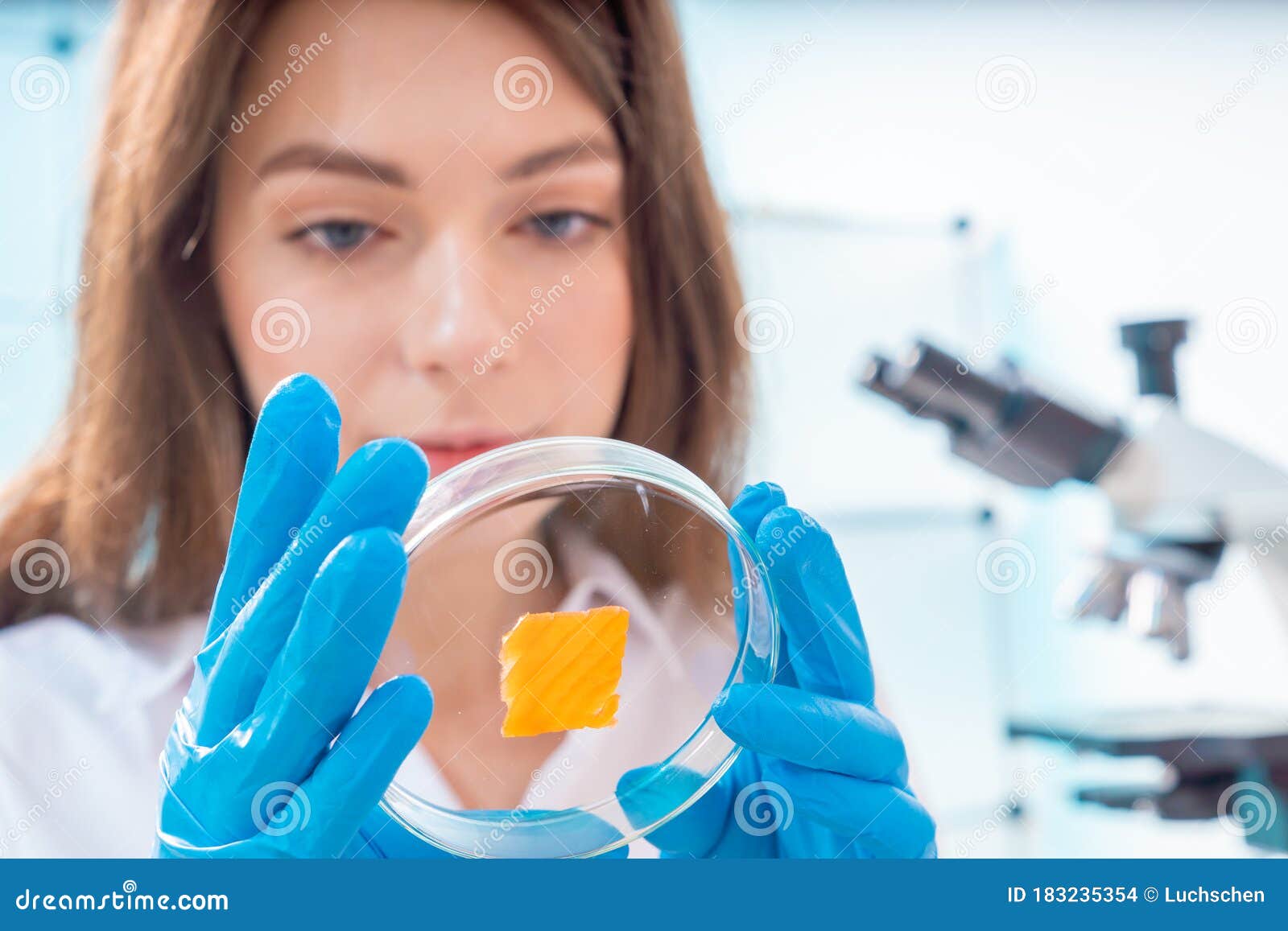 Inspection of Meat and Fish Quality in the Food Quality Laboratory ...