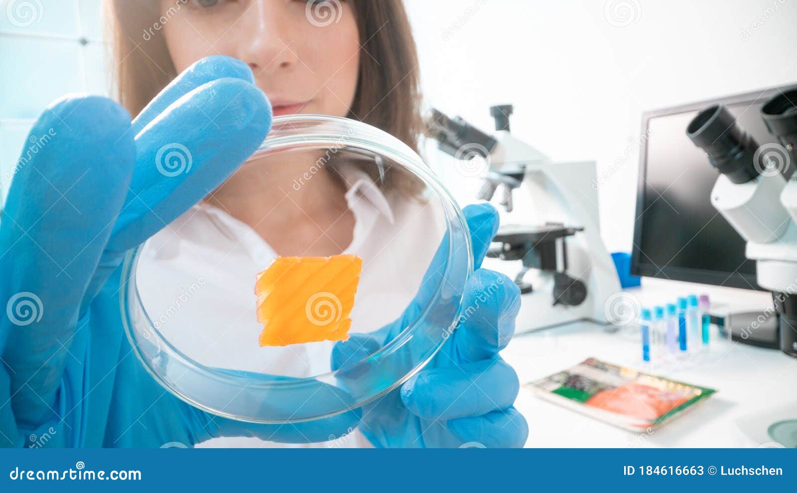 Inspection of Meat and Fish Quality in the Food Quality Laboratory ...