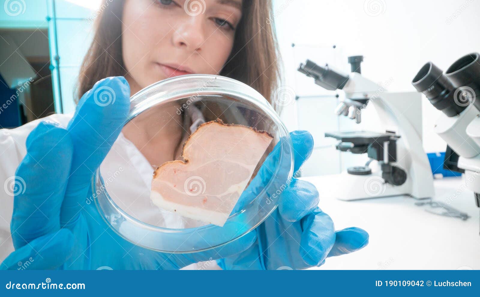 Inspection of Meat and Fish Quality in the Food Quality Laboratory ...