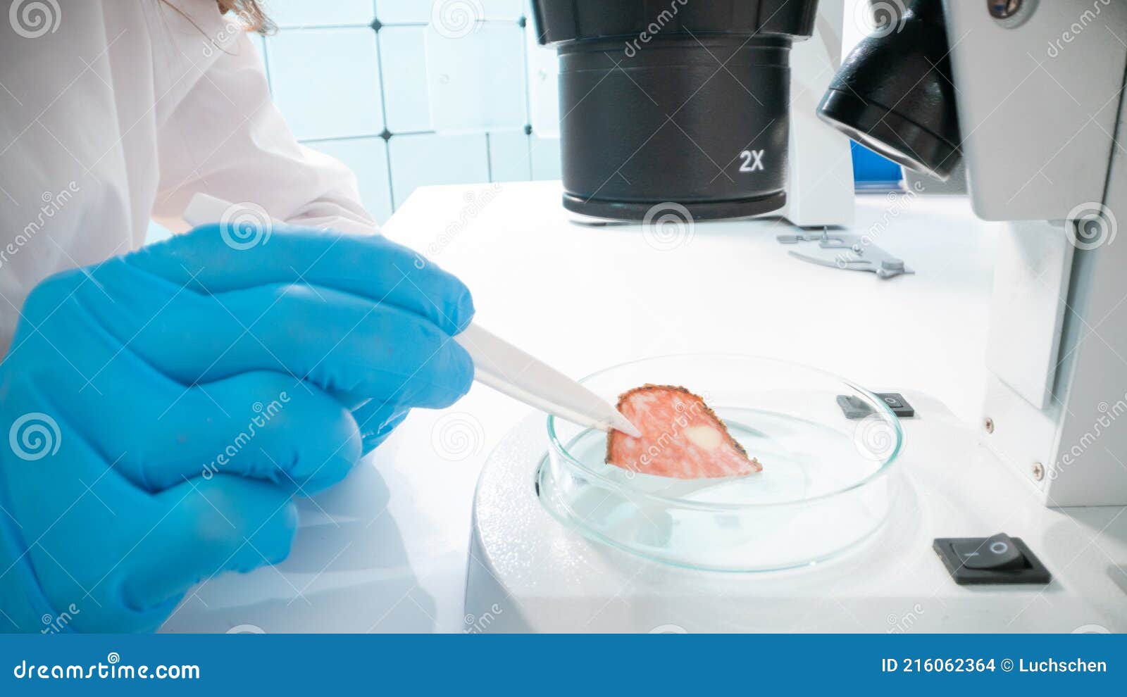 Inspection of Meat and Fish Quality in the Food Quality Laboratory ...