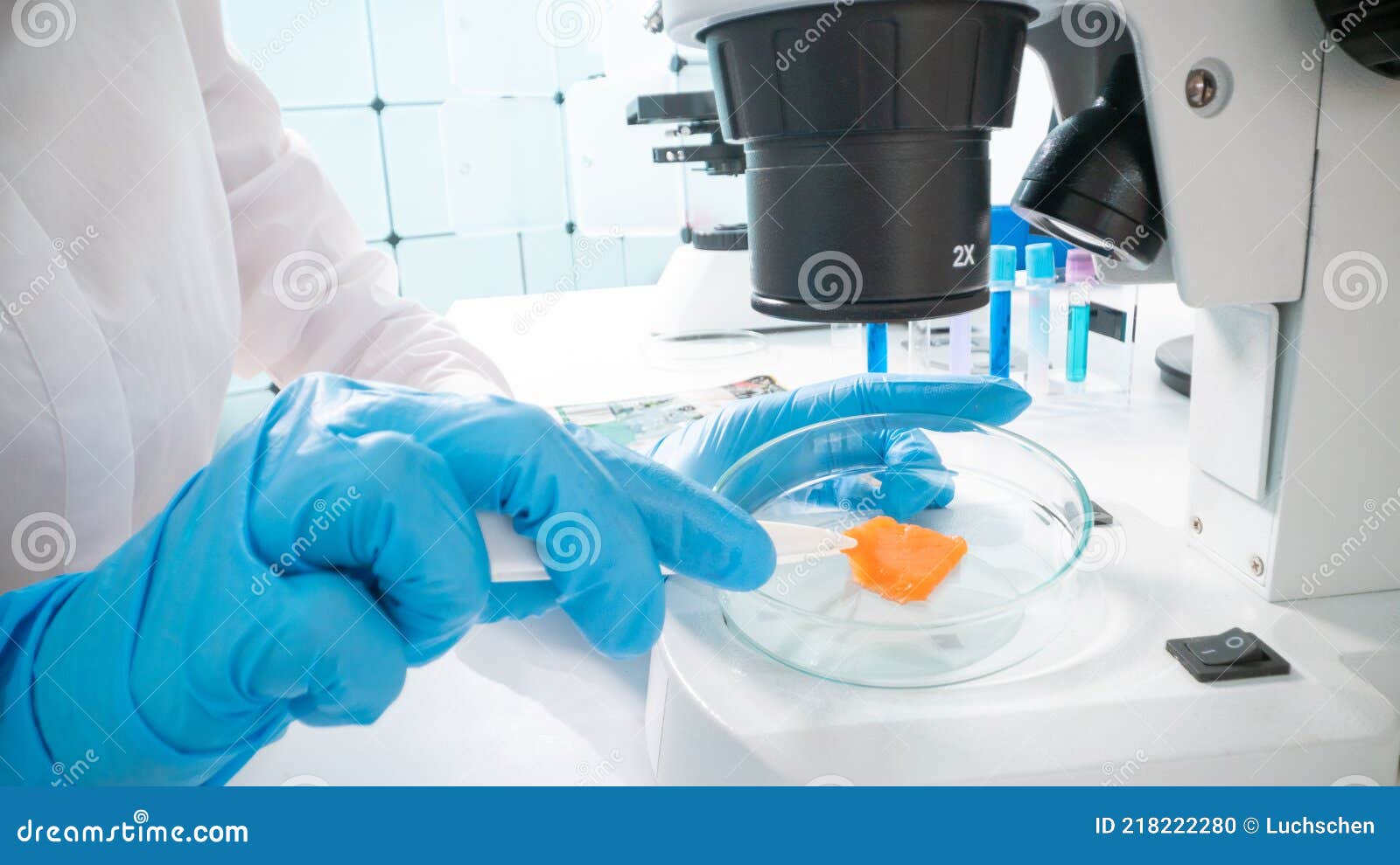 Inspection of Meat and Fish Quality in the Food Quality Laboratory ...