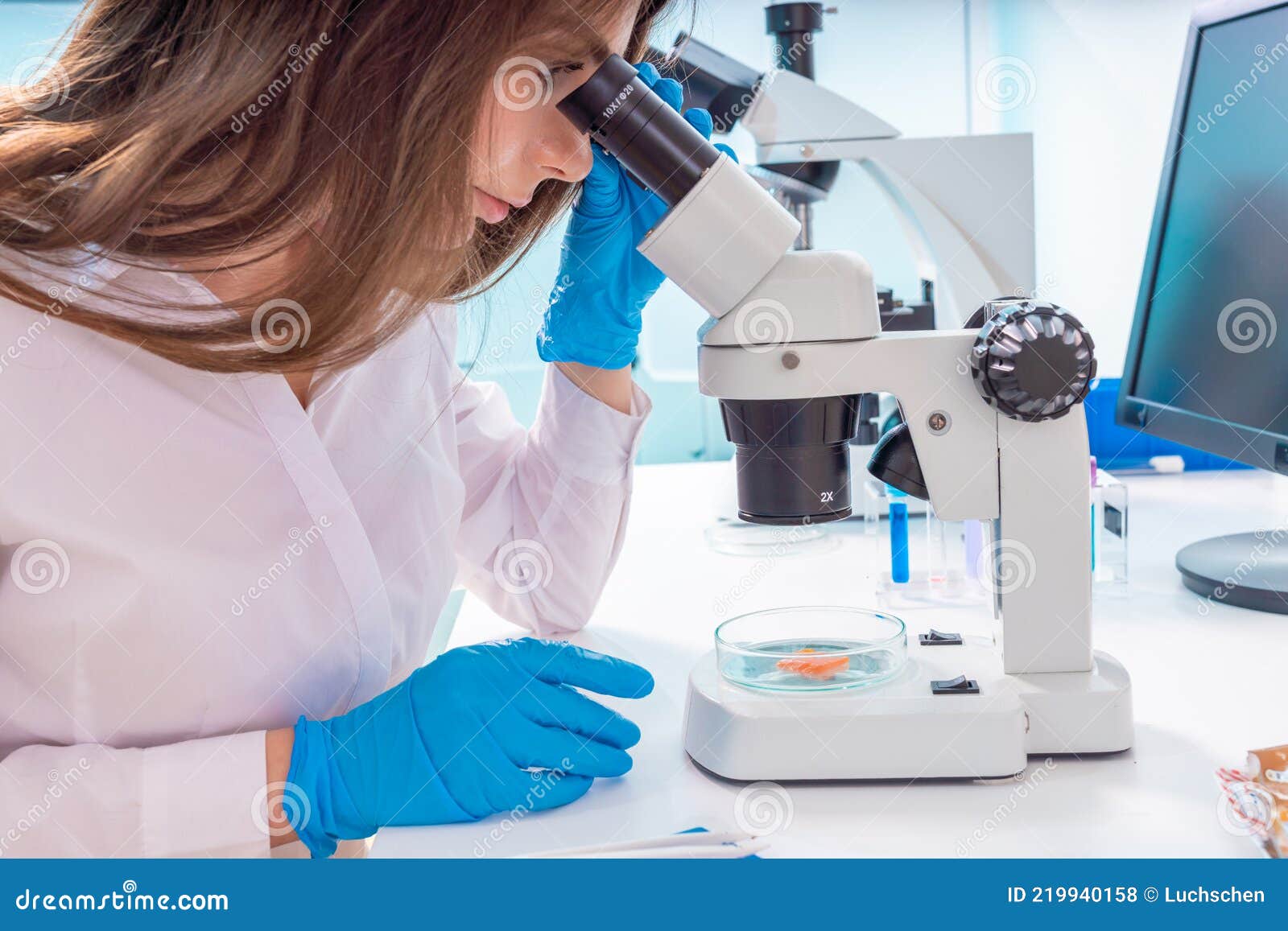 Inspection of Meat and Fish Quality in the Food Quality Laboratory ...