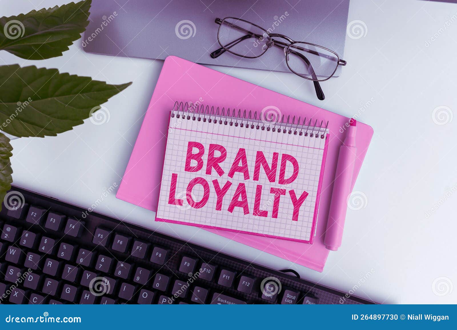 Inspiration Showing Sign Brand Loyalty. Business Approach Repeat ... Inspiration Showing Sign Brand Loyalty. Business Approach Repeat ...
