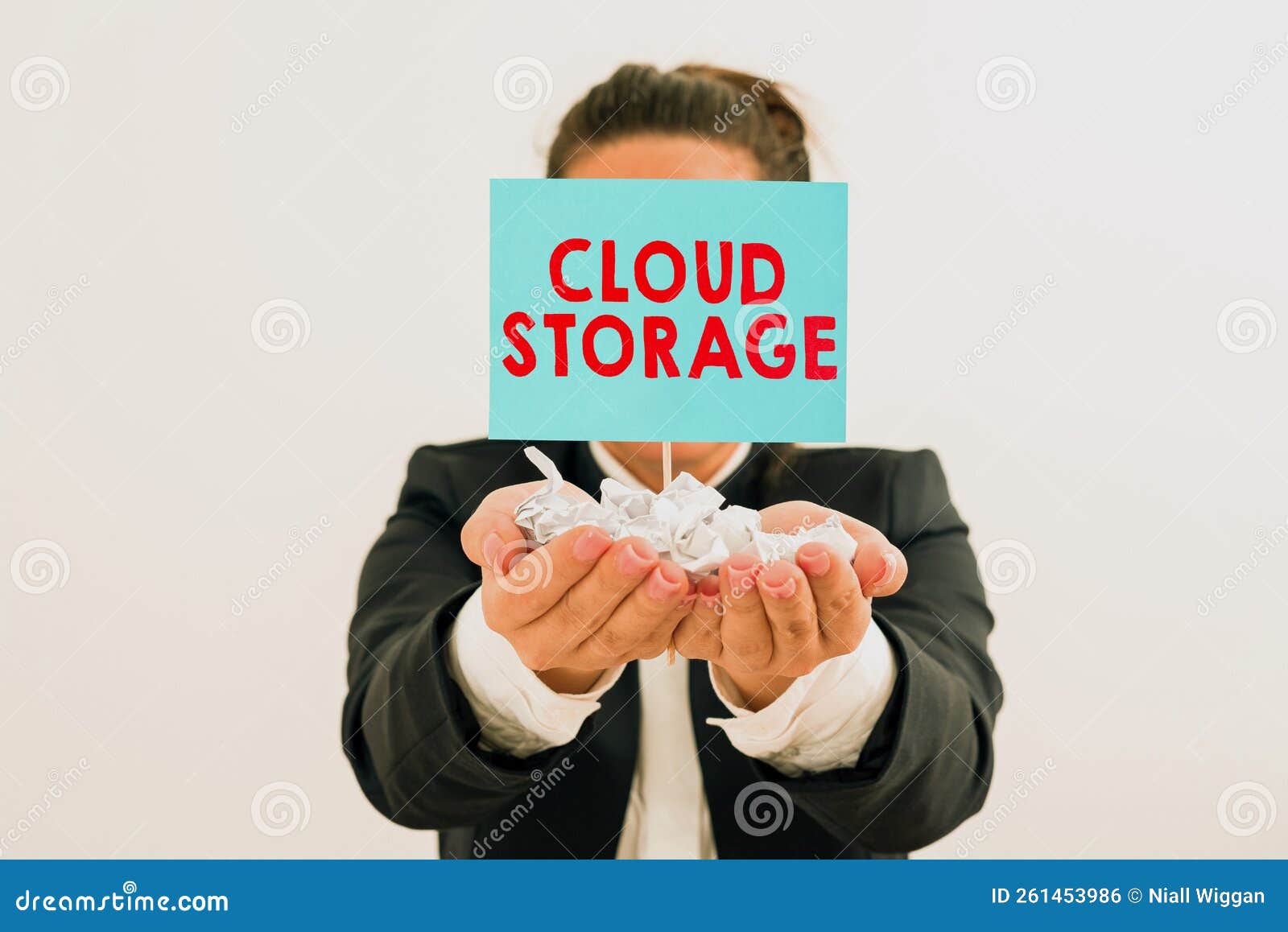 Text Sign Showing Cloud Storage. Business Overview Computing Connect ...