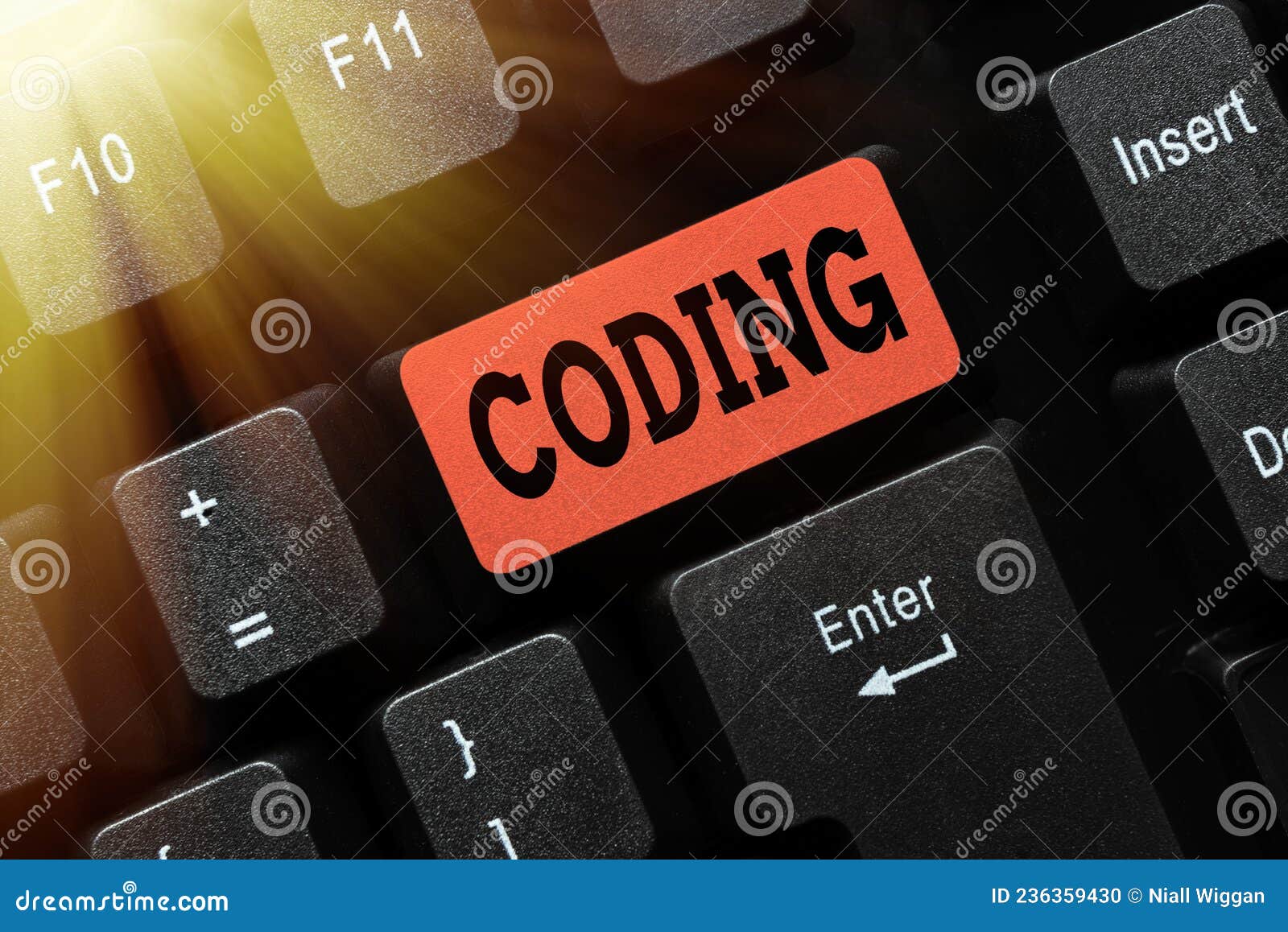 Conceptual Caption Coding. Business Showcase Assigning Code To ...