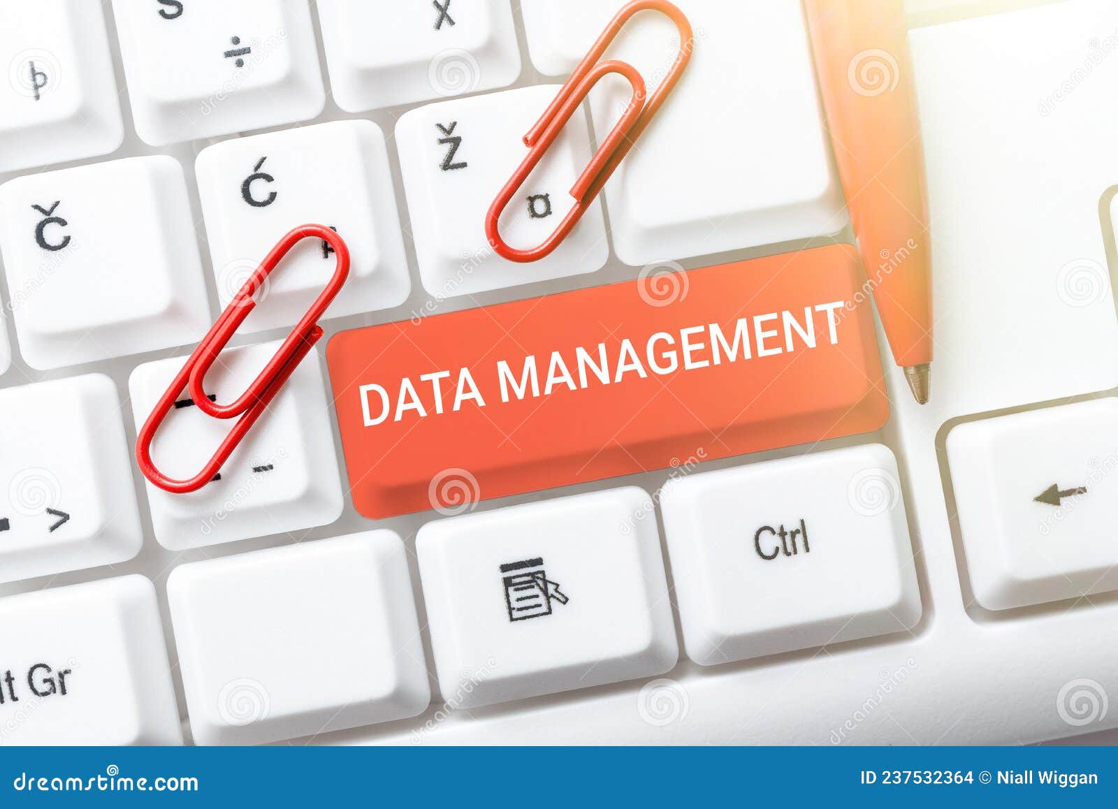 Inspiration Showing Sign Data Management. Business Showcase the ...