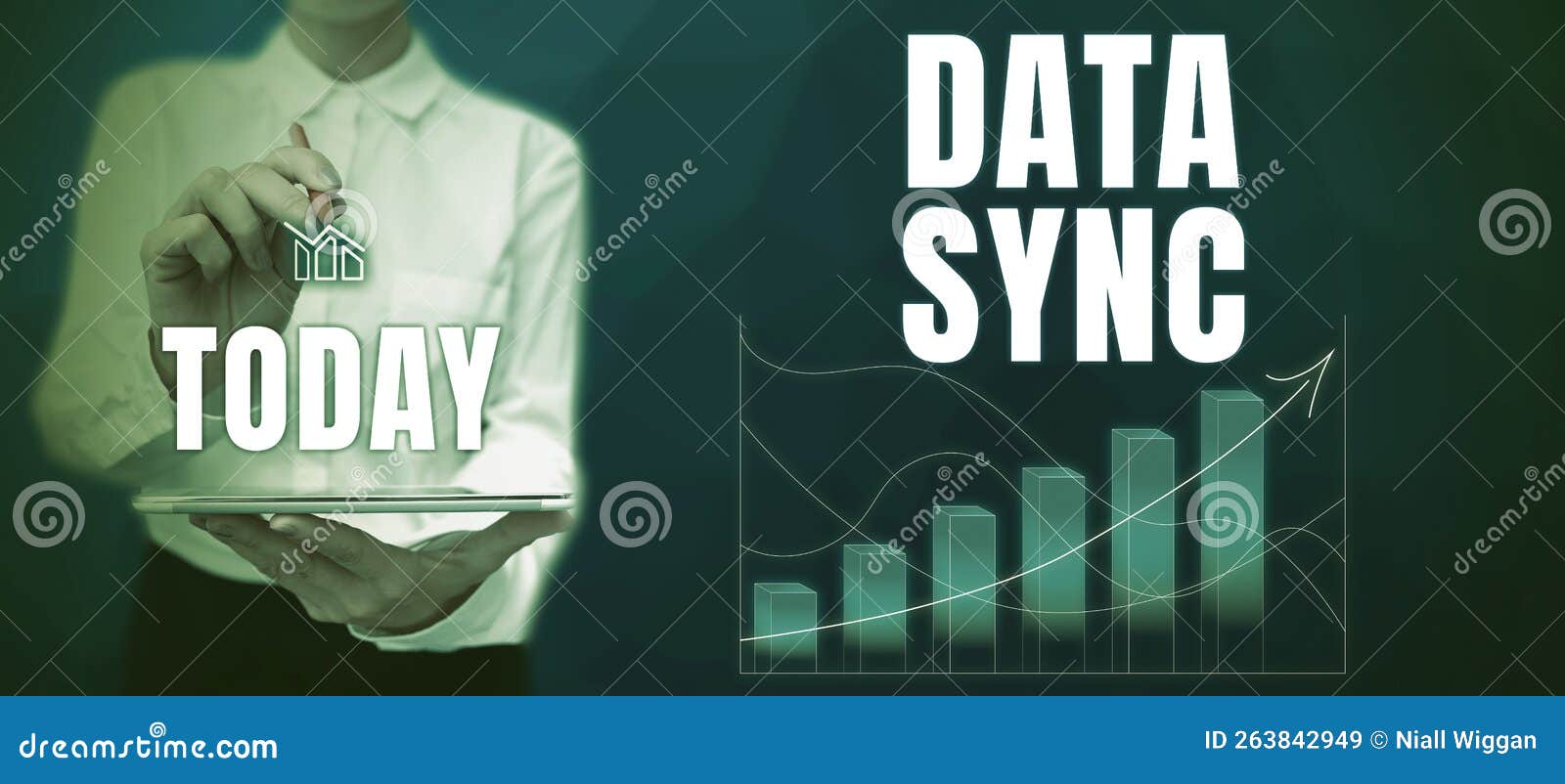 Conceptual Display Data Sync. Business Overview Data that is ... Conceptual Display Data Sync. Business Overview Data that is ...