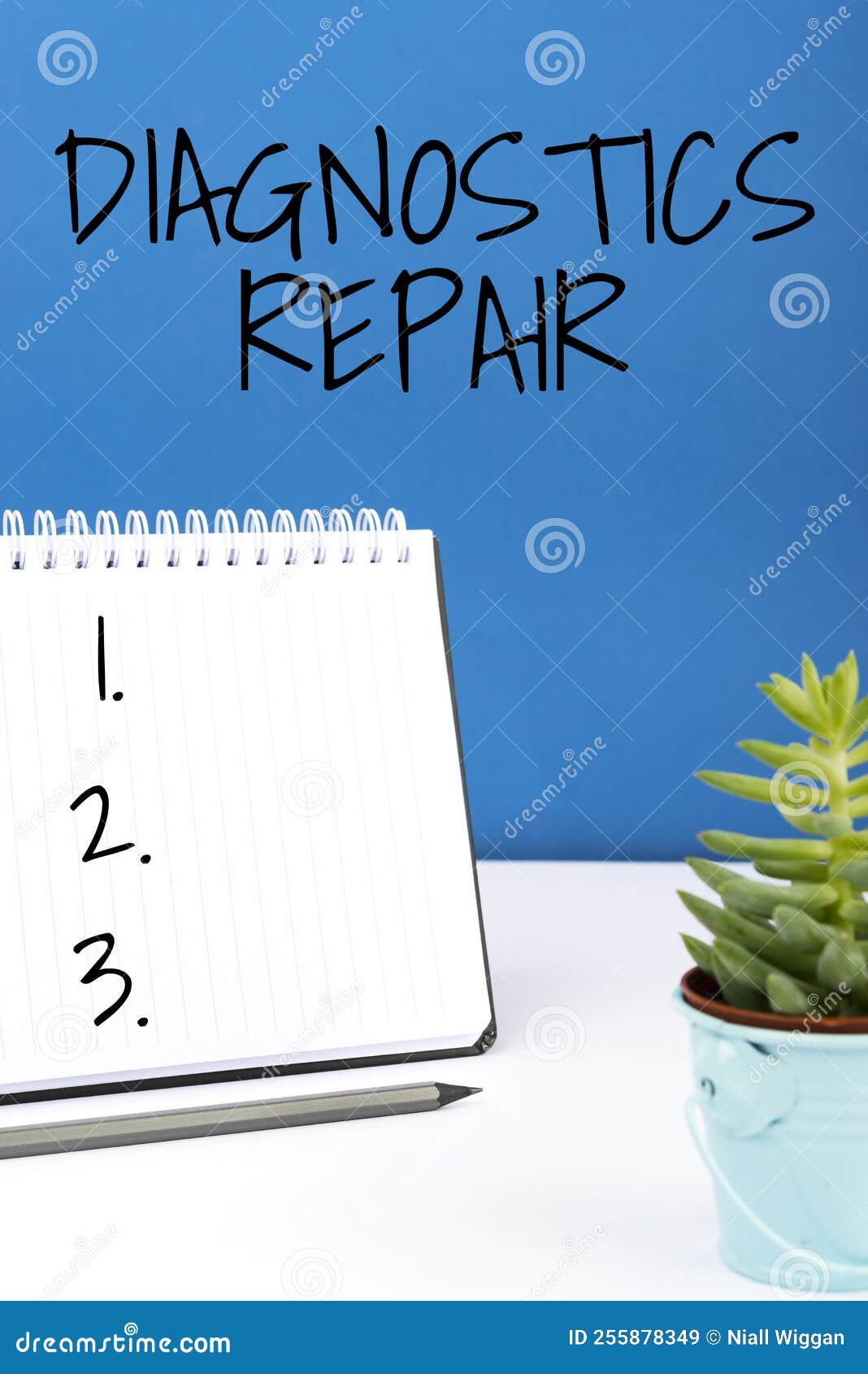Inspiration Showing Sign Diagnostics RepairA Program or Routine that ...