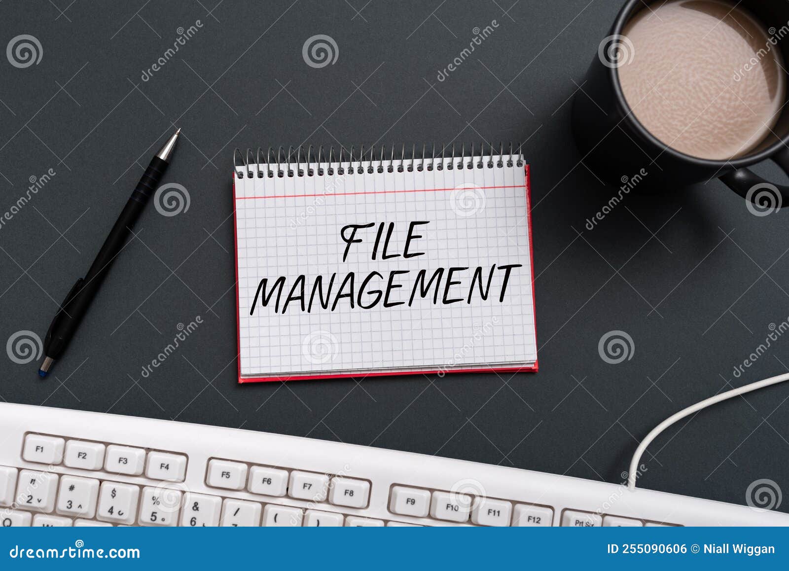 Inspiration Showing Sign File Managementcomputer Program that Provides ...