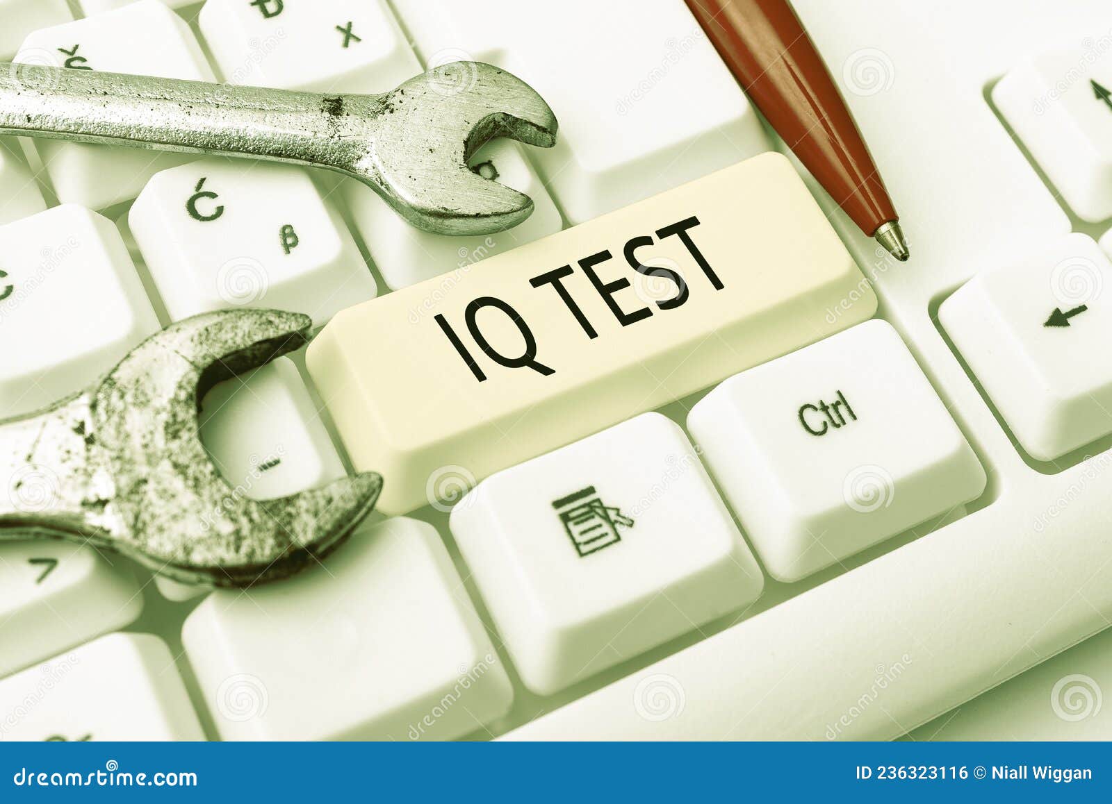 Text Sign Showing Iq Test. Business Concept Attempt To Measure Your ... Text Sign Showing Iq Test. Business Concept Attempt To Measure Your ...