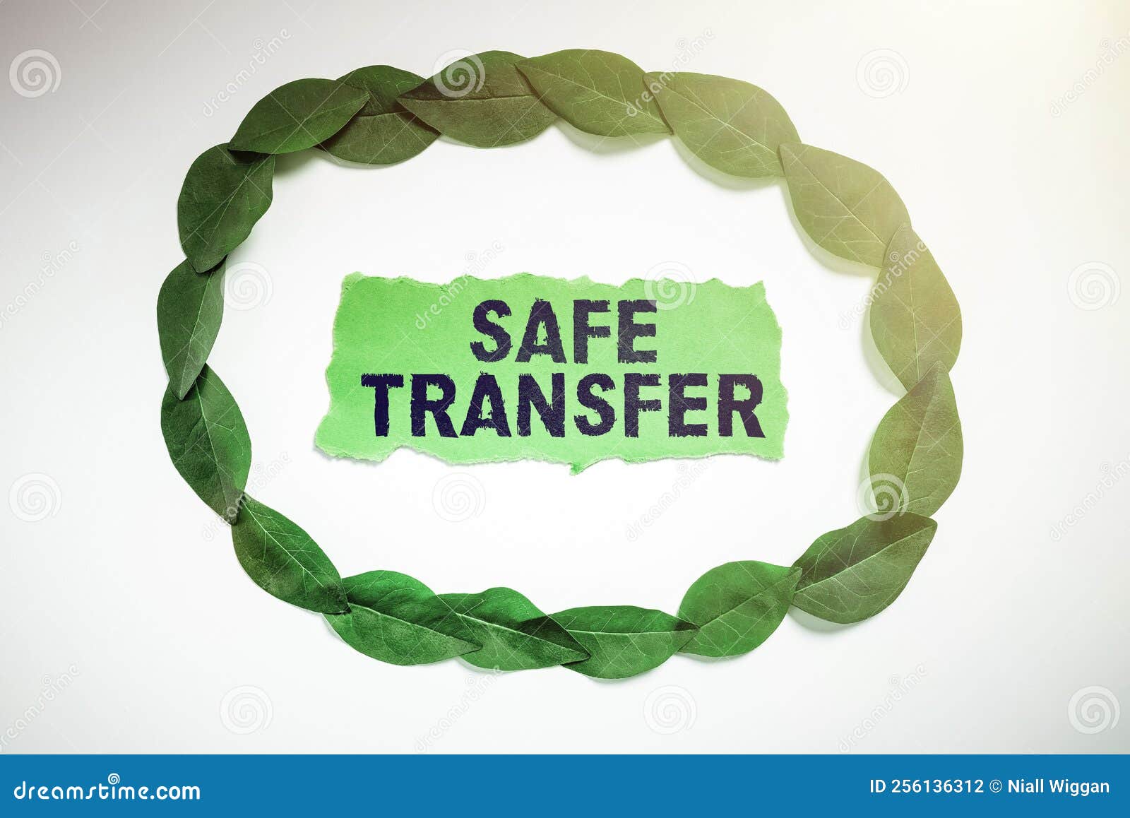Inspiration Showing Sign Safe Transfer. Business Overview Wire ... Inspiration Showing Sign Safe Transfer. Business Overview Wire ...