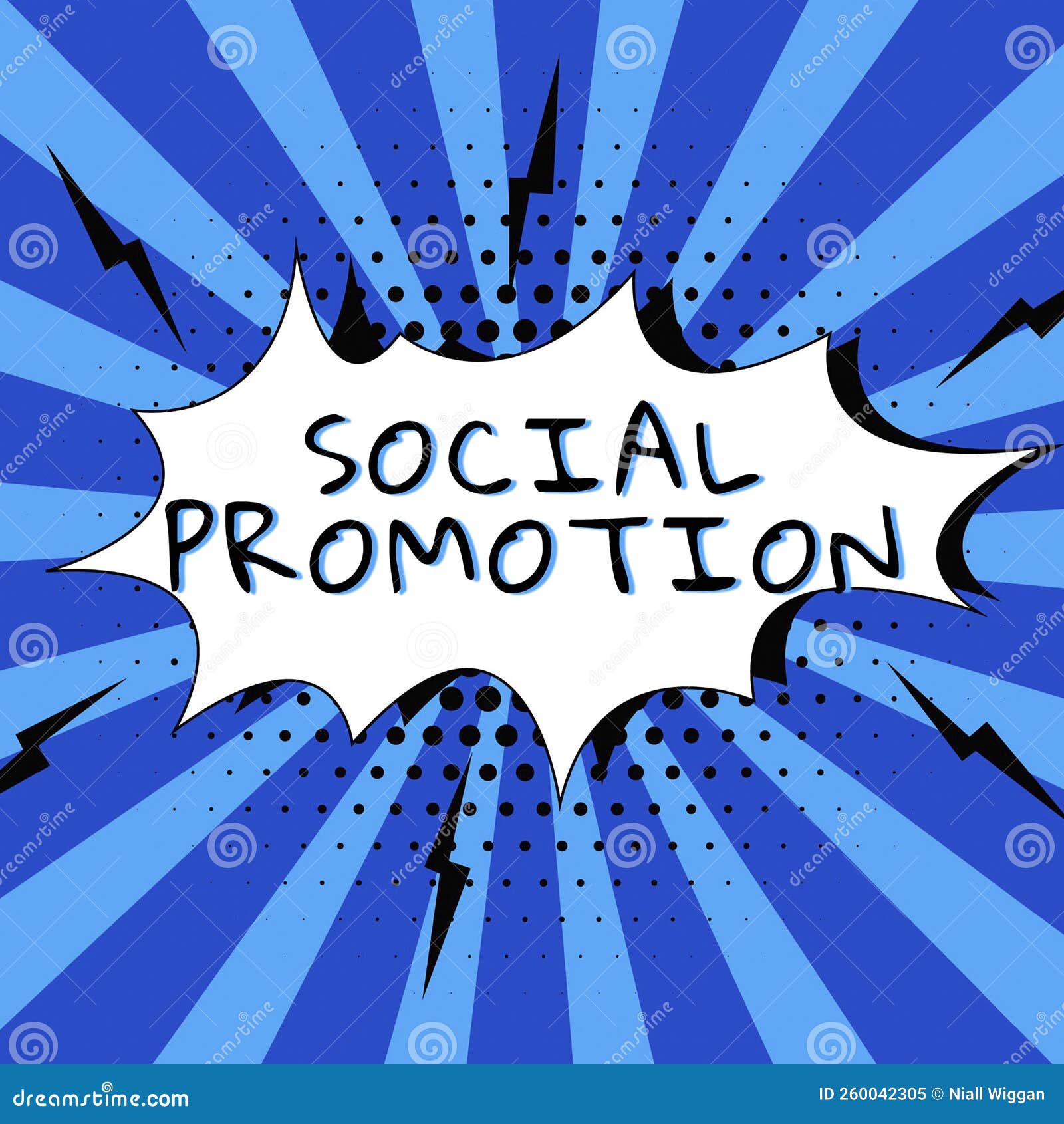 Text Showing Inspiration Social Promotion. Business Overview Evaluate ...