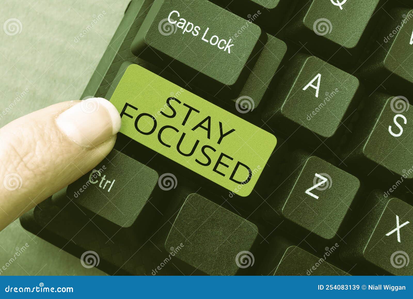 Inspiration Showing Sign Stay Focused. Internet Concept Be Attentive ...