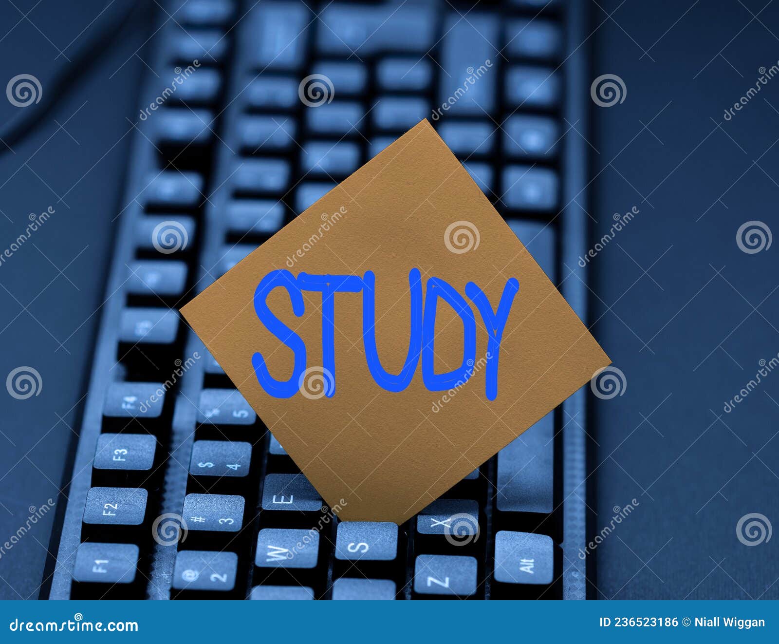 Inspiration Showing Sign Study. Business Overview Devotion of Time and ...